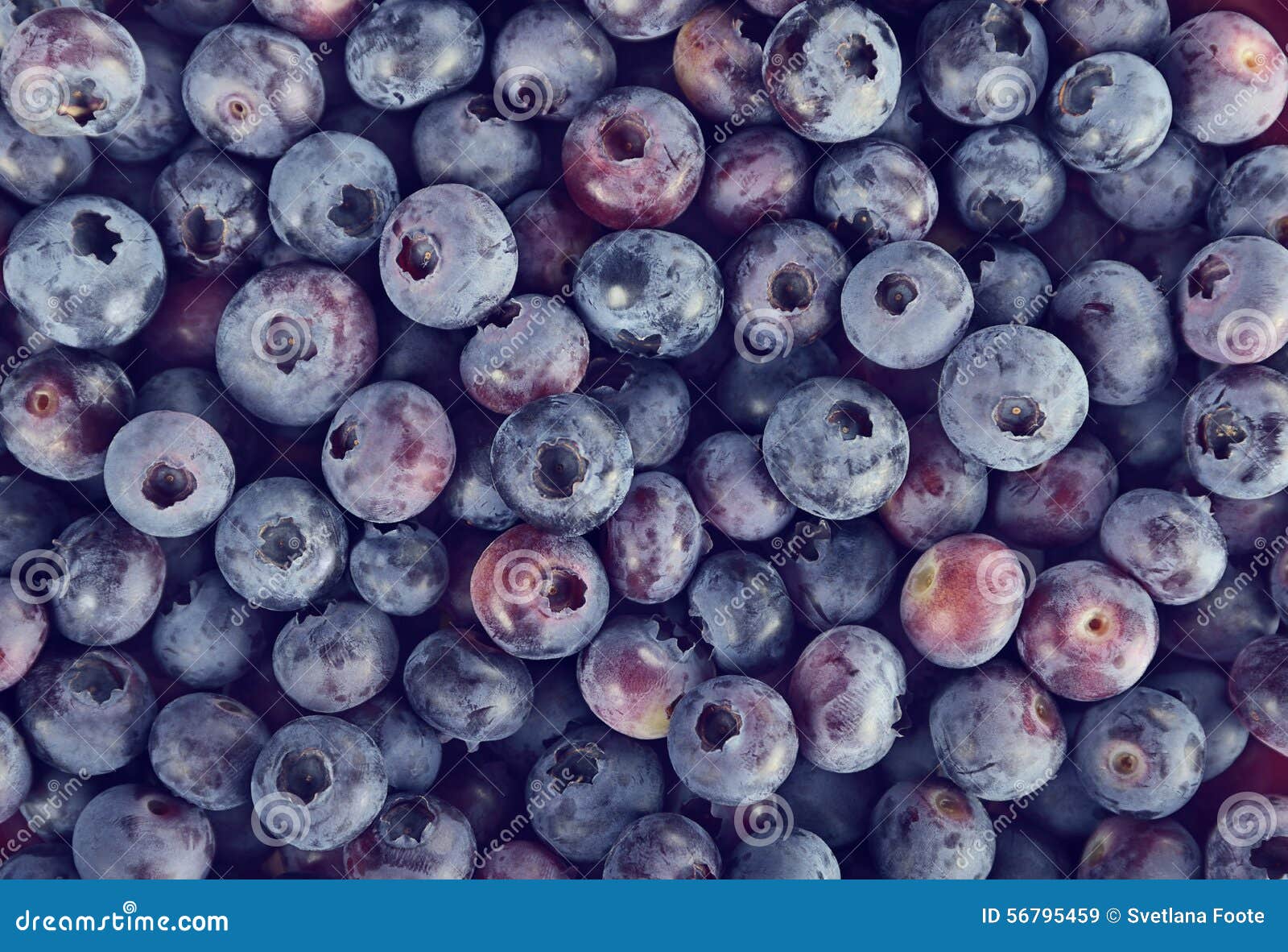 Background with Blueberries Stock Image - Image of blue, dessert: 56795459