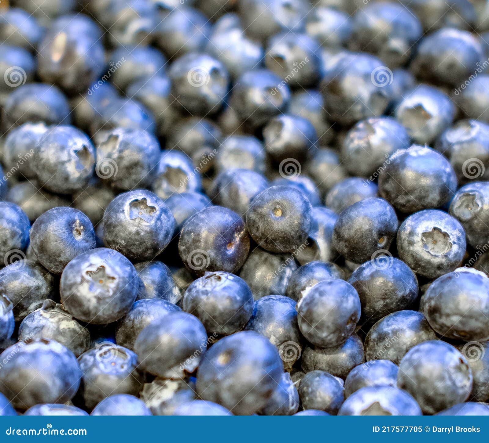 Background of Blueberries stock image. Image of fruit - 217577705