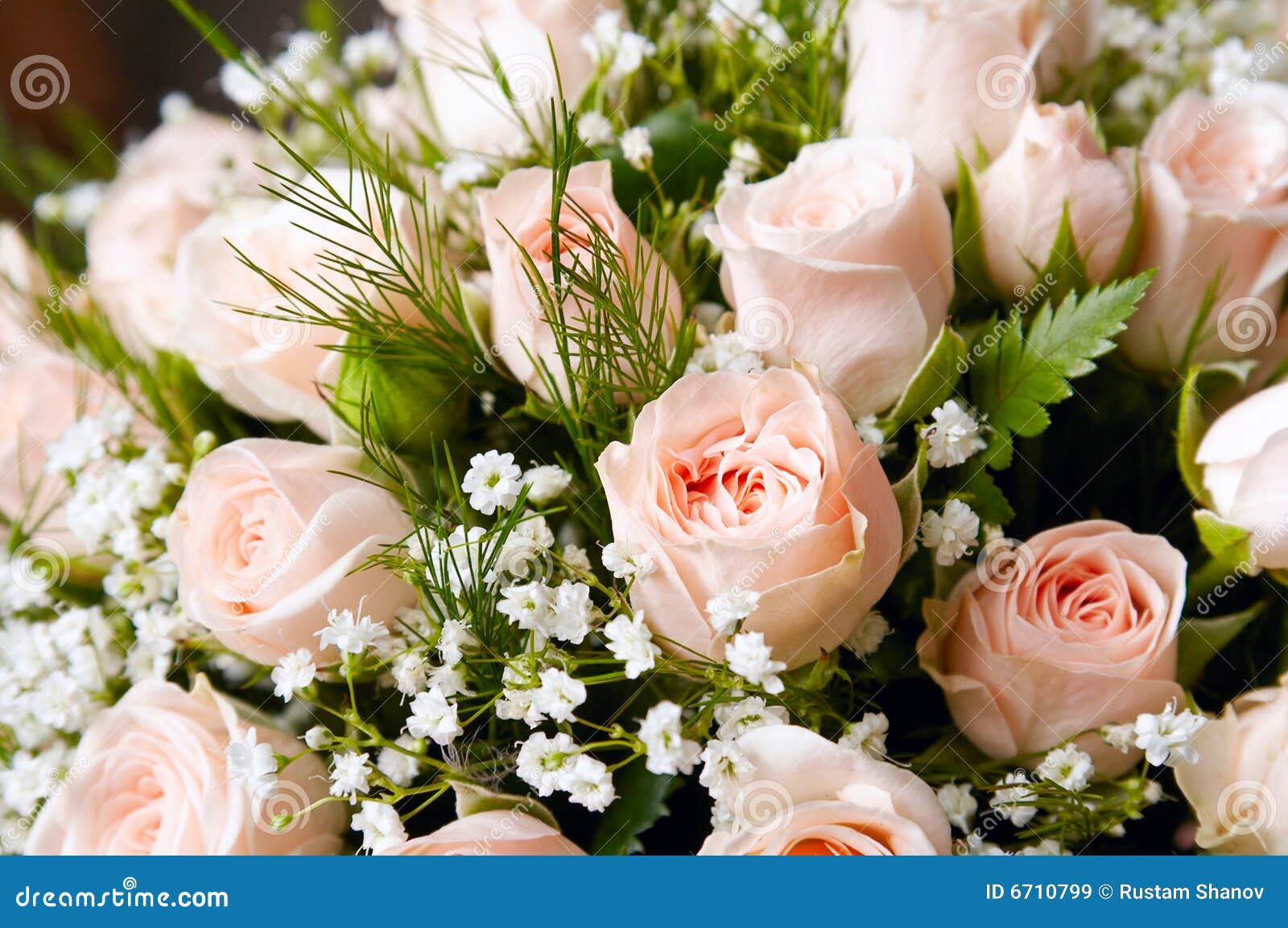 Background from bouquet stock image. Image of foliage - 6710799