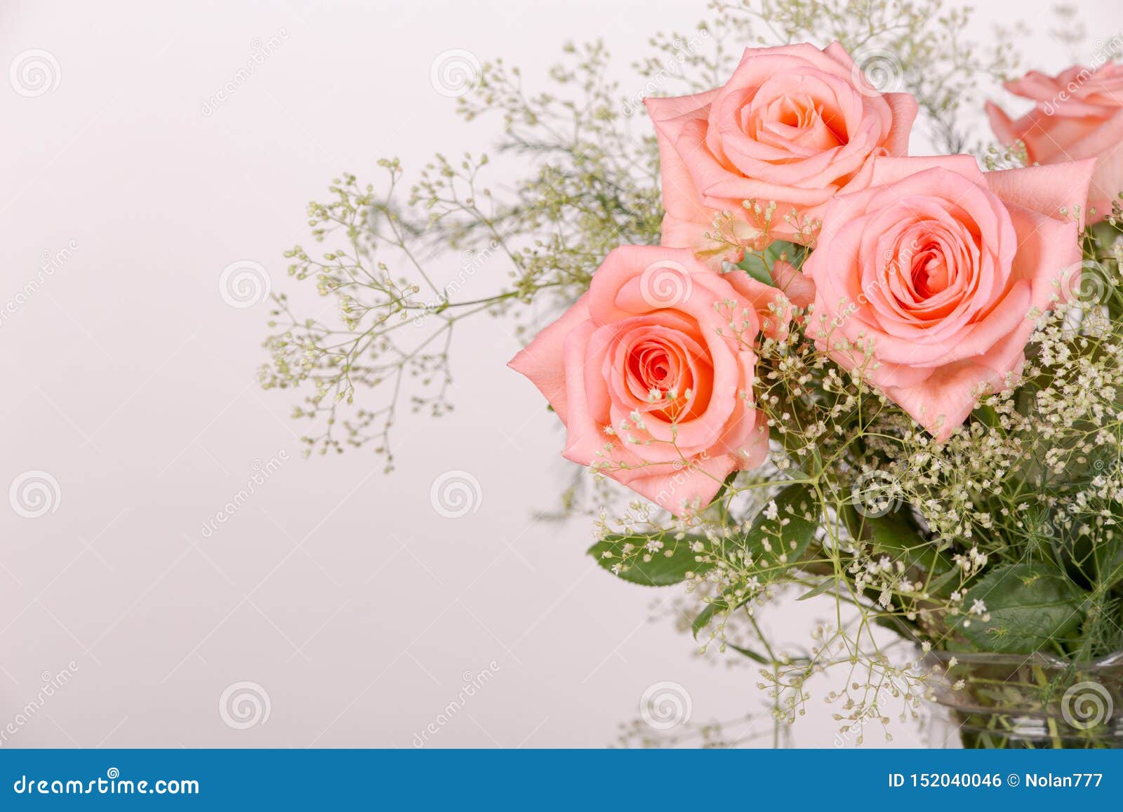Background with a Bouquet of Beautiful Roses for Congratulations Stock ...