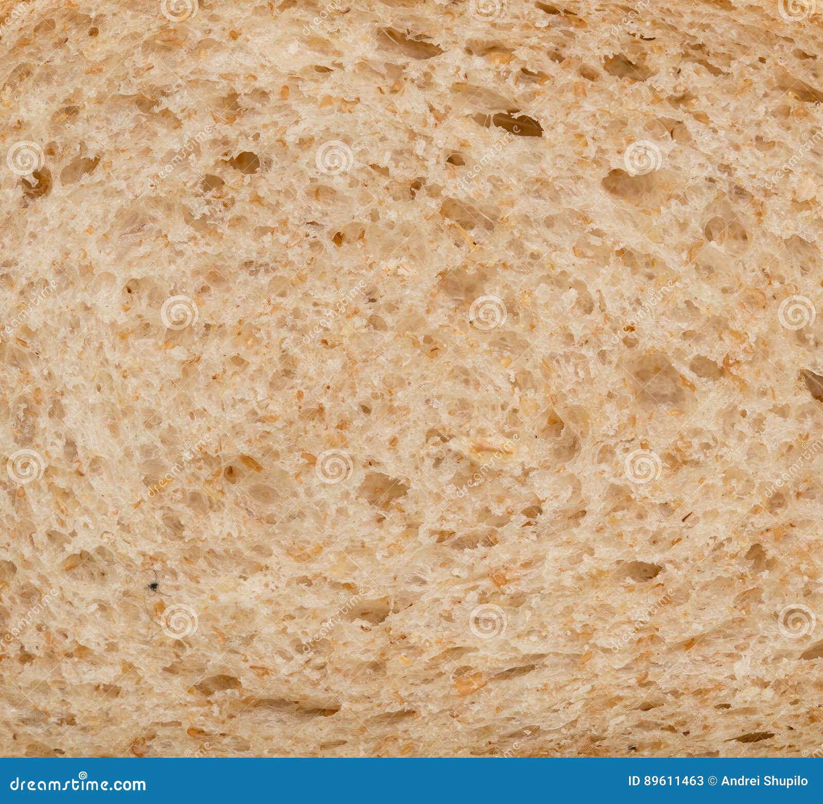 Background of bread. macro stock image. Image of porous - 89611463