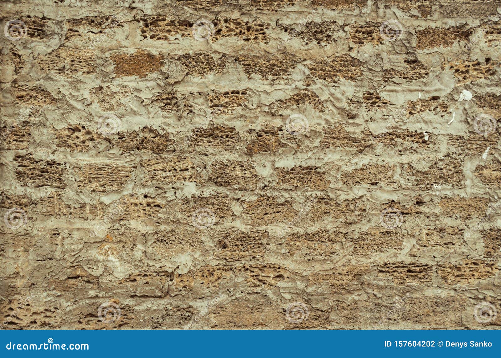 Background of a Brick Wall Made of Shell, the Texture of Porous Stone ...