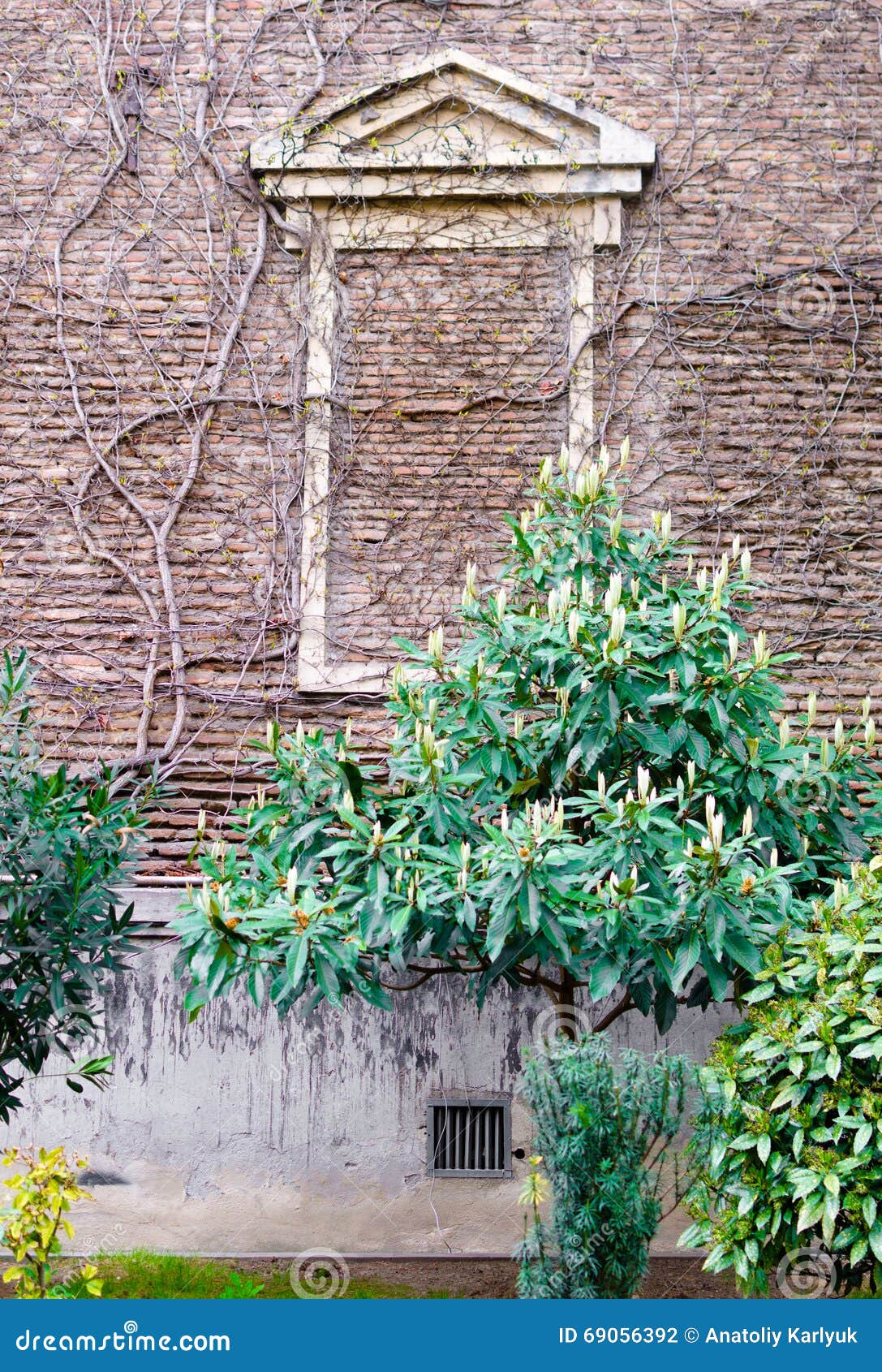 Background with Brick Wall in Which the Window in the Foreground Bushes ...