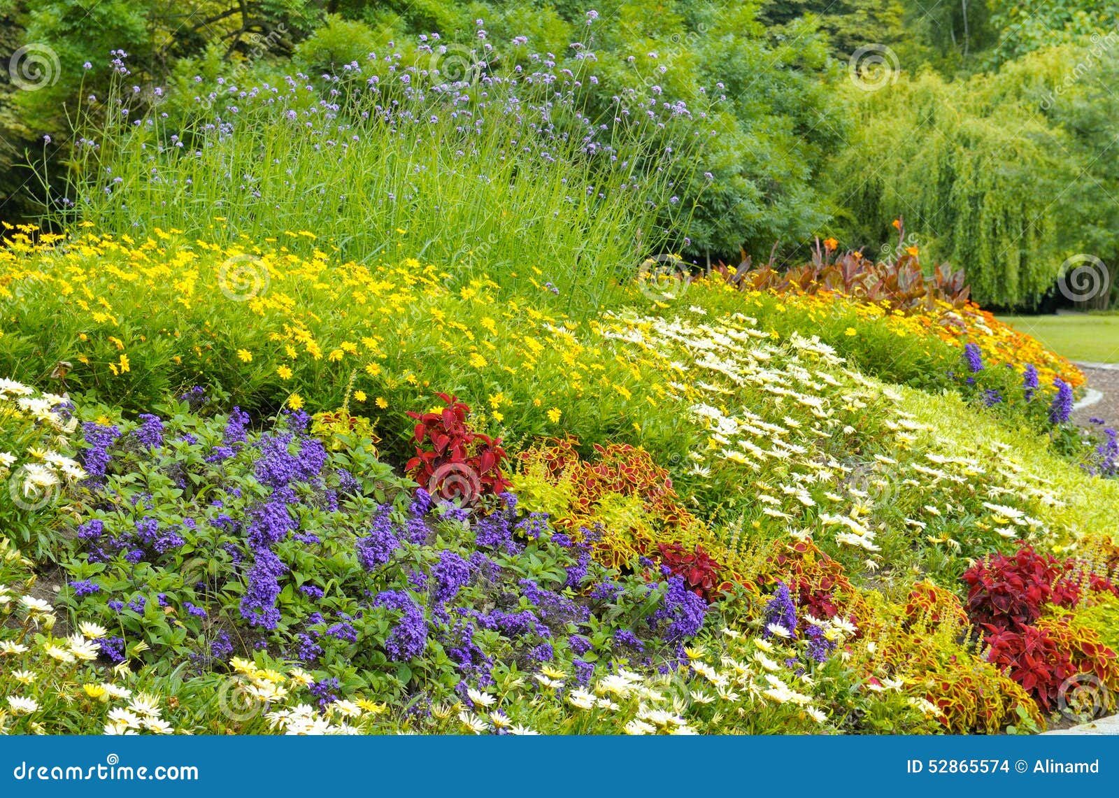Background of Bright Garden Flowers Stock Photo - Image of grass ...