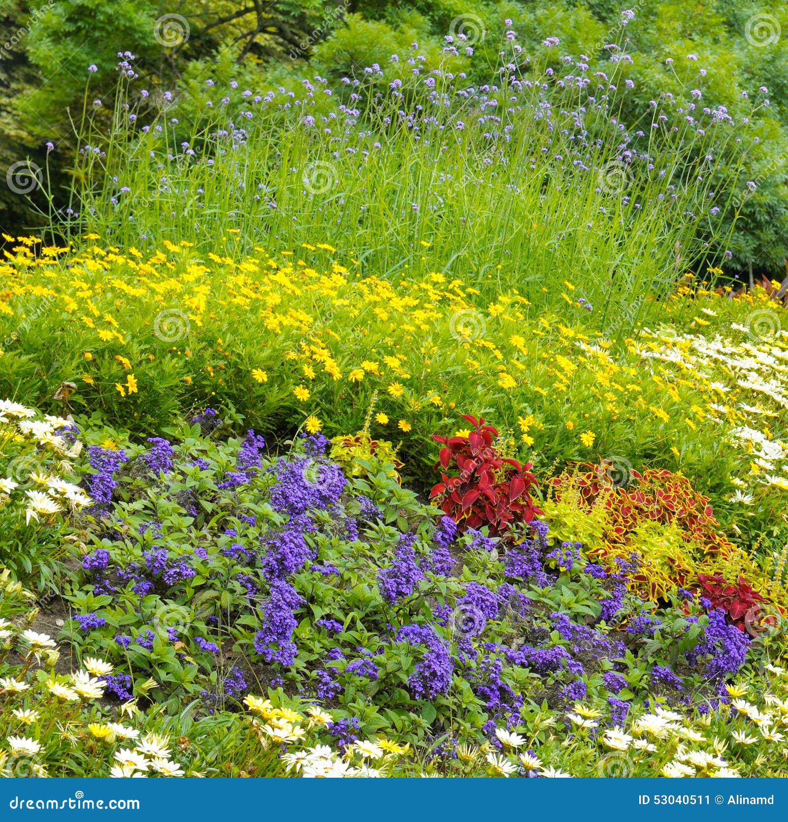 Background of Bright Garden Flowers Stock Image - Image of glade, color ...