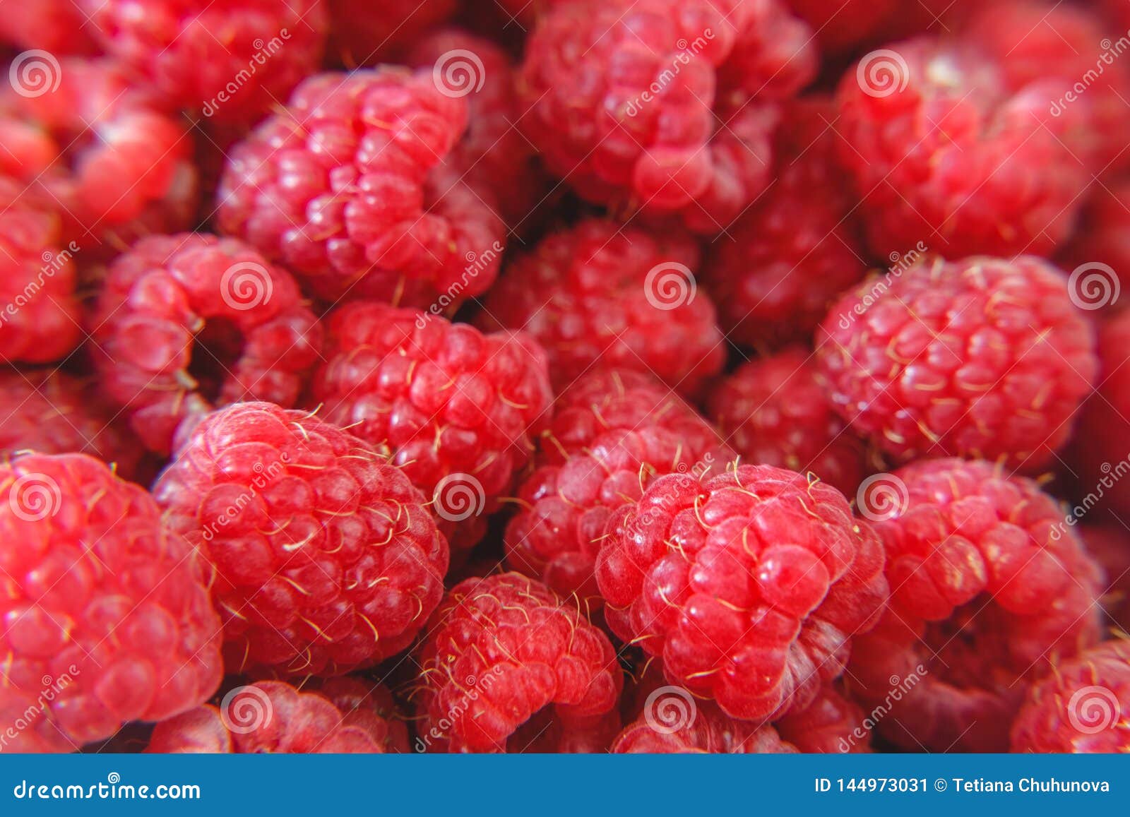 Background of Bright Juicy Ripe Red Raspberries Stock Image - Image of ...