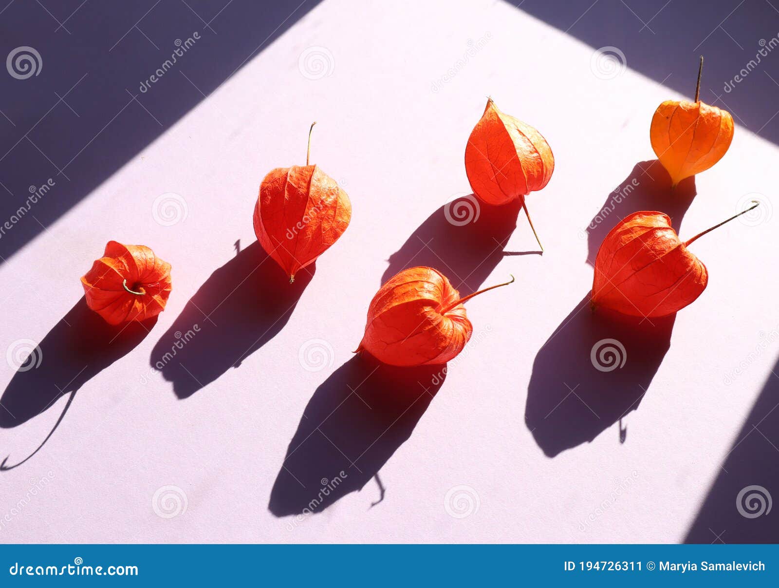 2,203 Sun Boxes Stock Photos - Free & Royalty-Free Stock Photos from ...