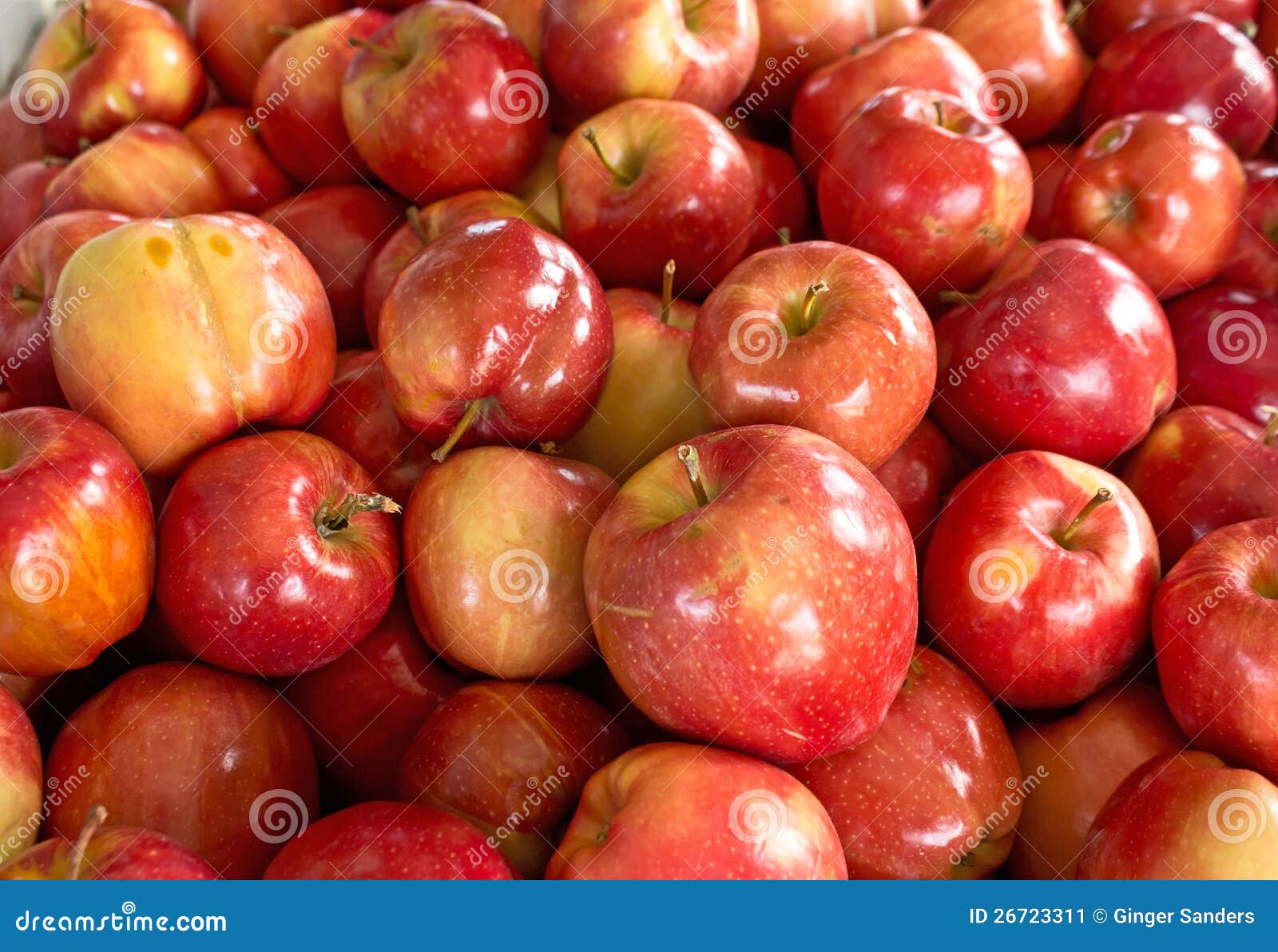 Background of Bright Red Apples Stock Image - Image of people, autumn ...