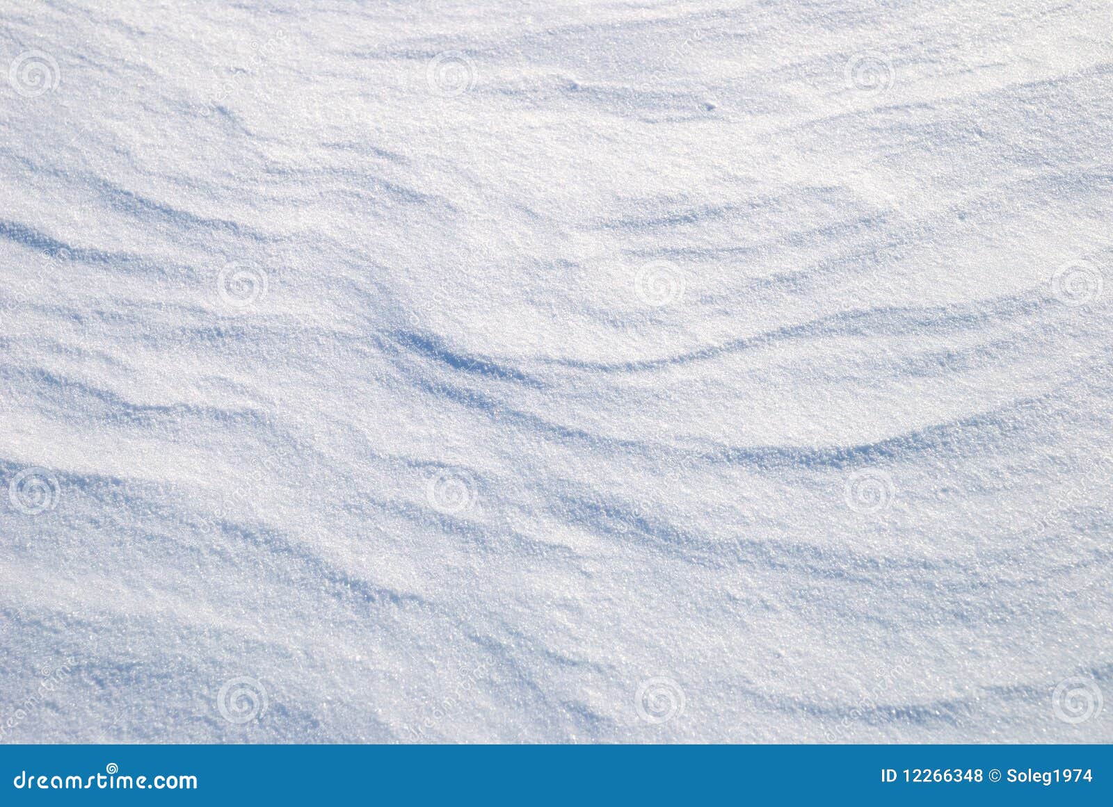 Background from the Bright Shined Snow Stock Photo - Image of curve ...