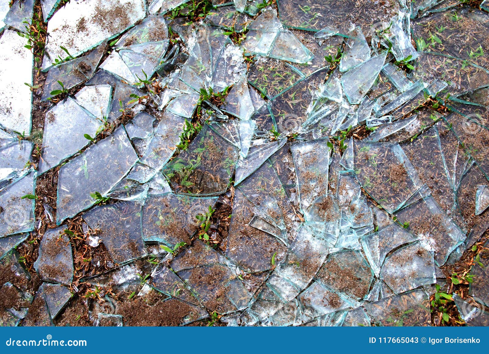 Background of Broken Glass Lying on the Ground Stock Image - Image of ...