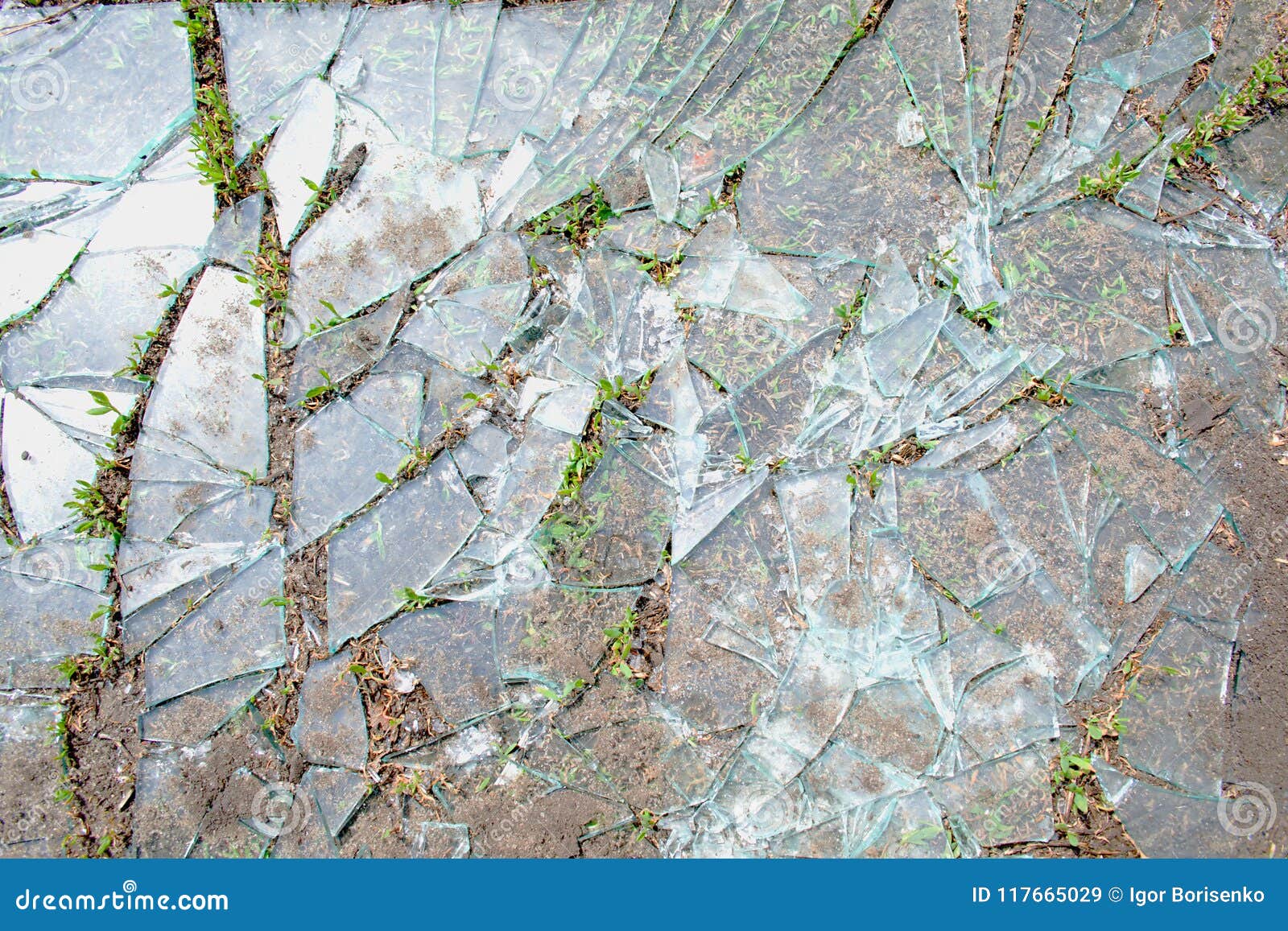 Background of Broken Glass Lying on the Ground Stock Image - Image of ...