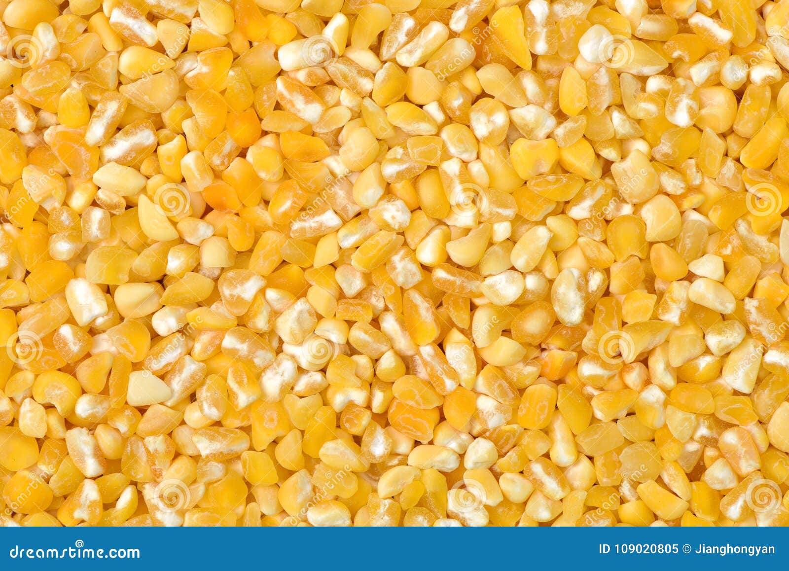 Broken niblet stock image. Image of edible, food, maize - 109020805