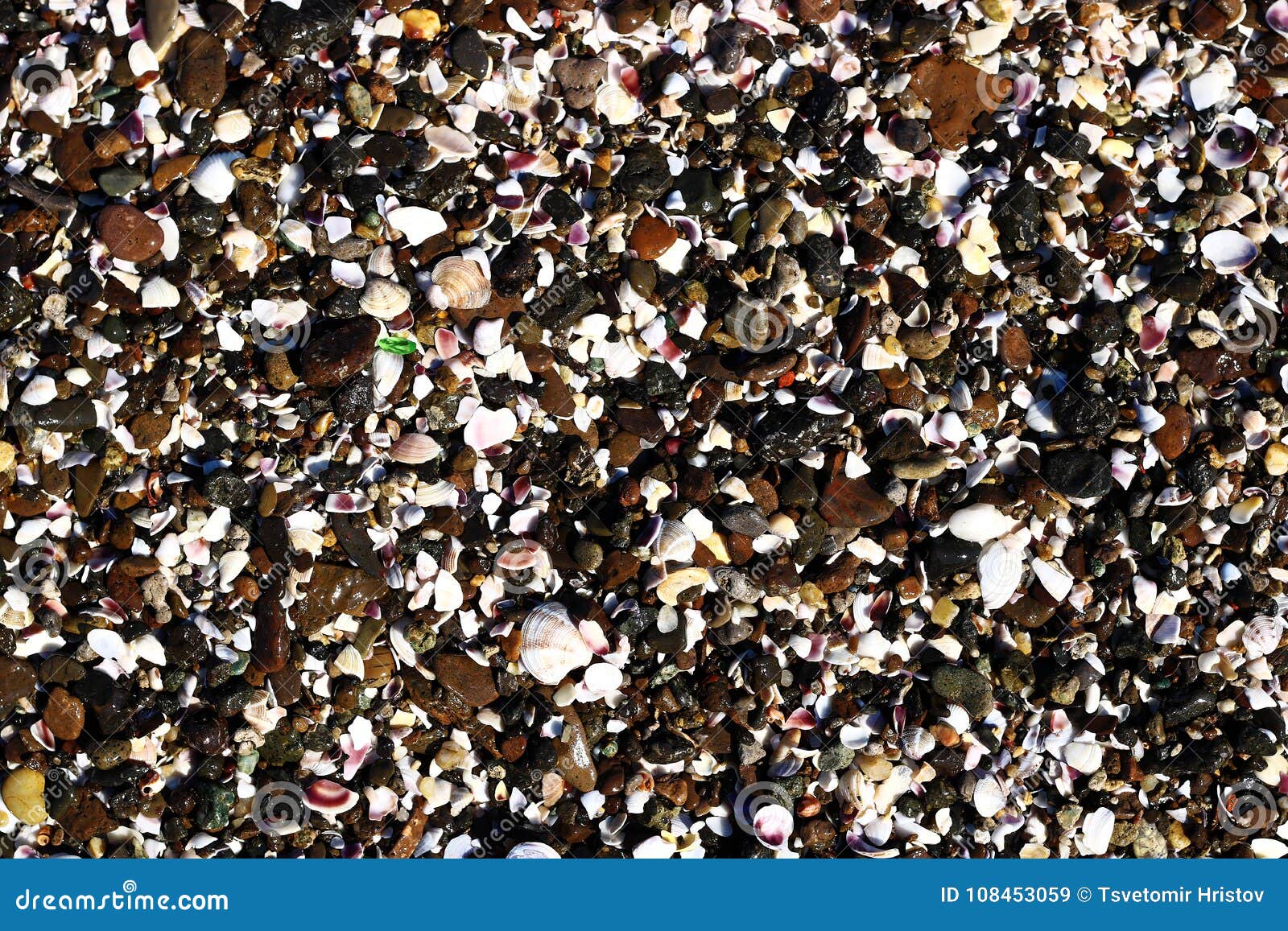 Background of Broken Shell and Pebbles on a Beach Stock Image - Image ...