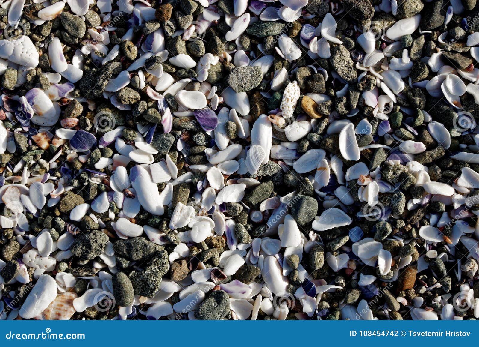 Background of Broken Shell and Pebbles on a Beach Stock Photo - Image ...