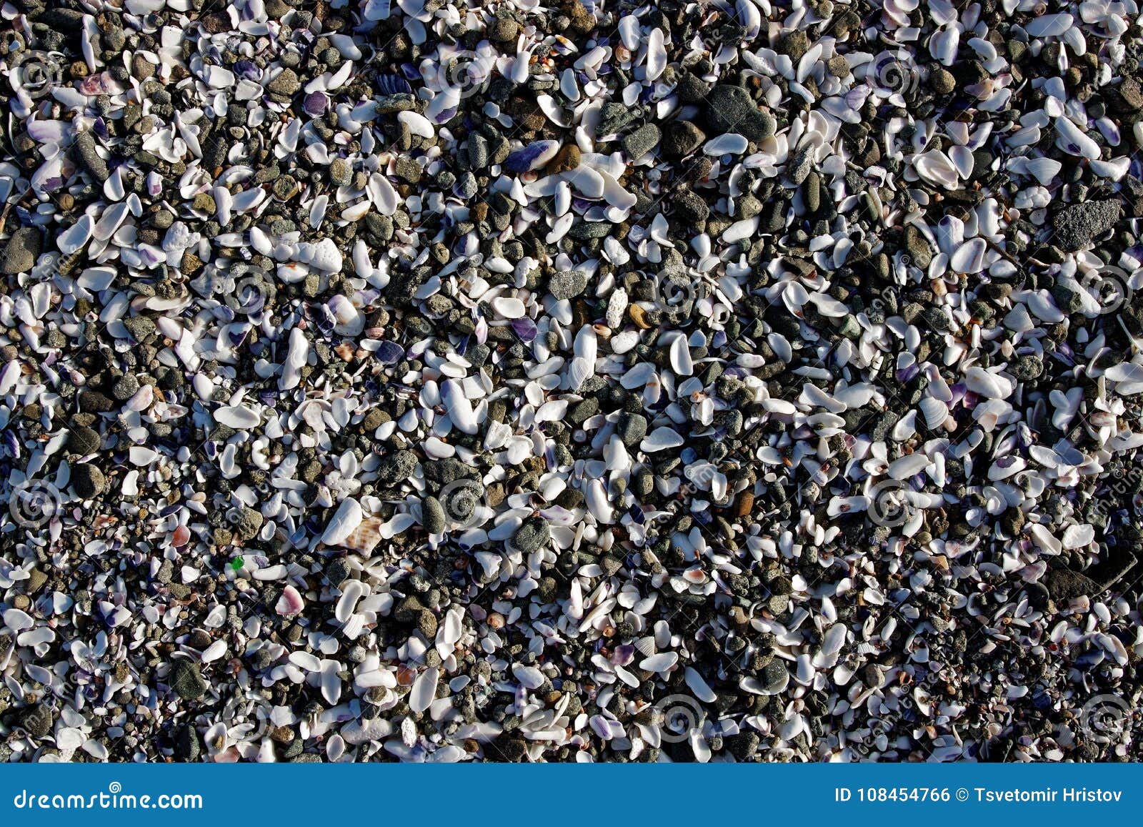 Background of Broken Shell and Pebbles on a Beach Stock Photo - Image ...