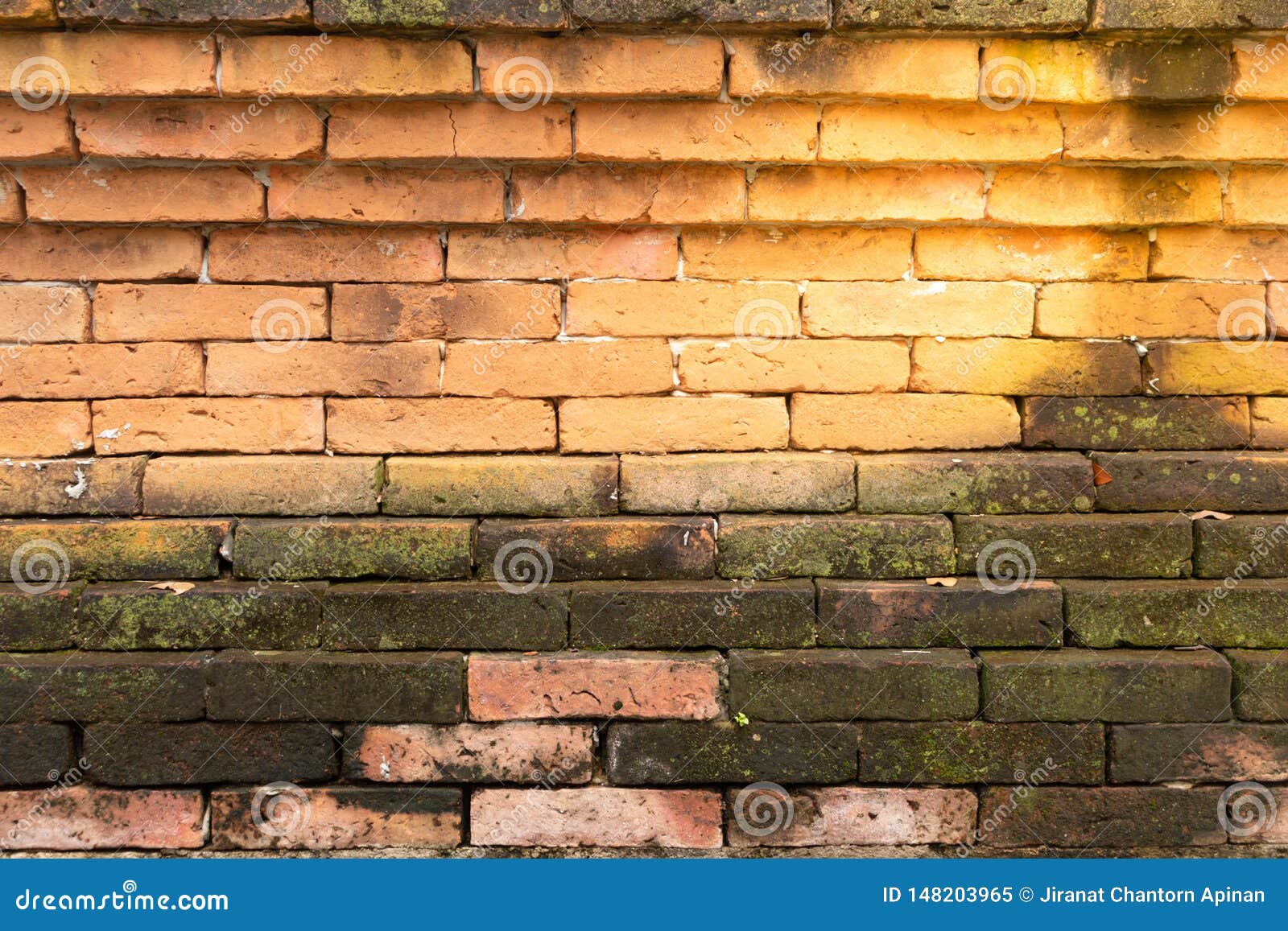 Background of Brown Brick Wall with Green Algae Stock Image - Image of ...