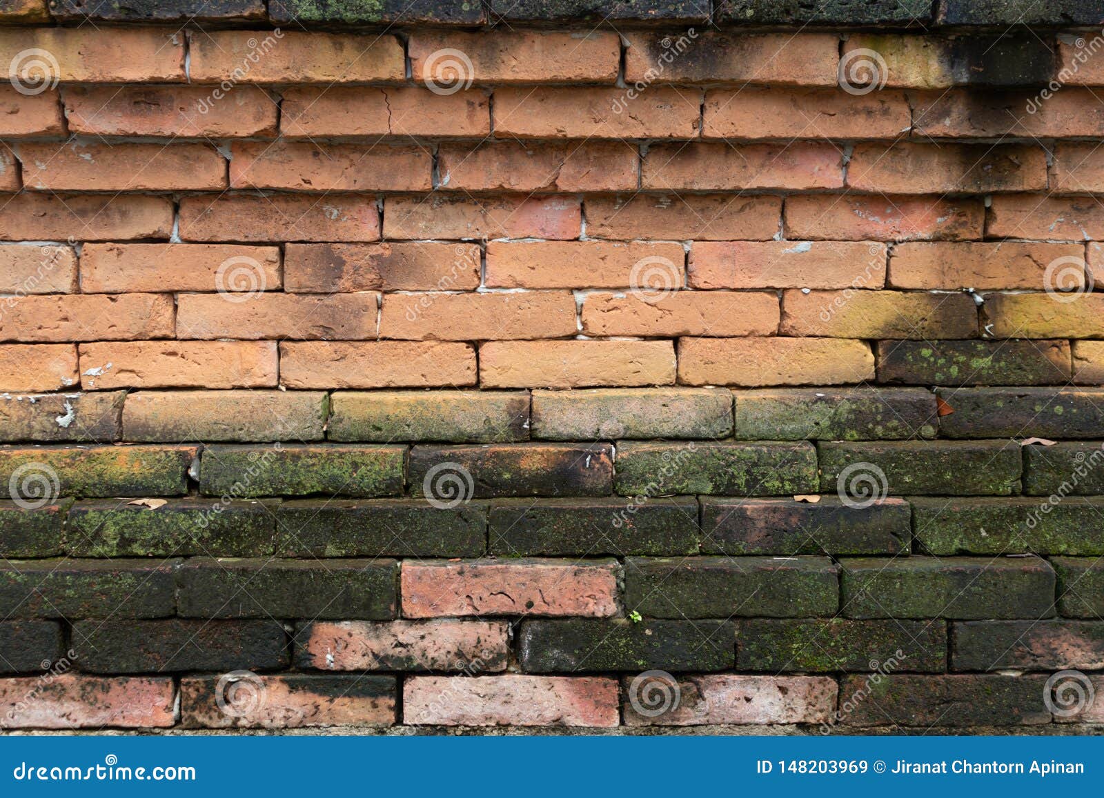 Background of Brown Brick Wall with Green Algae Stock Image - Image of ...