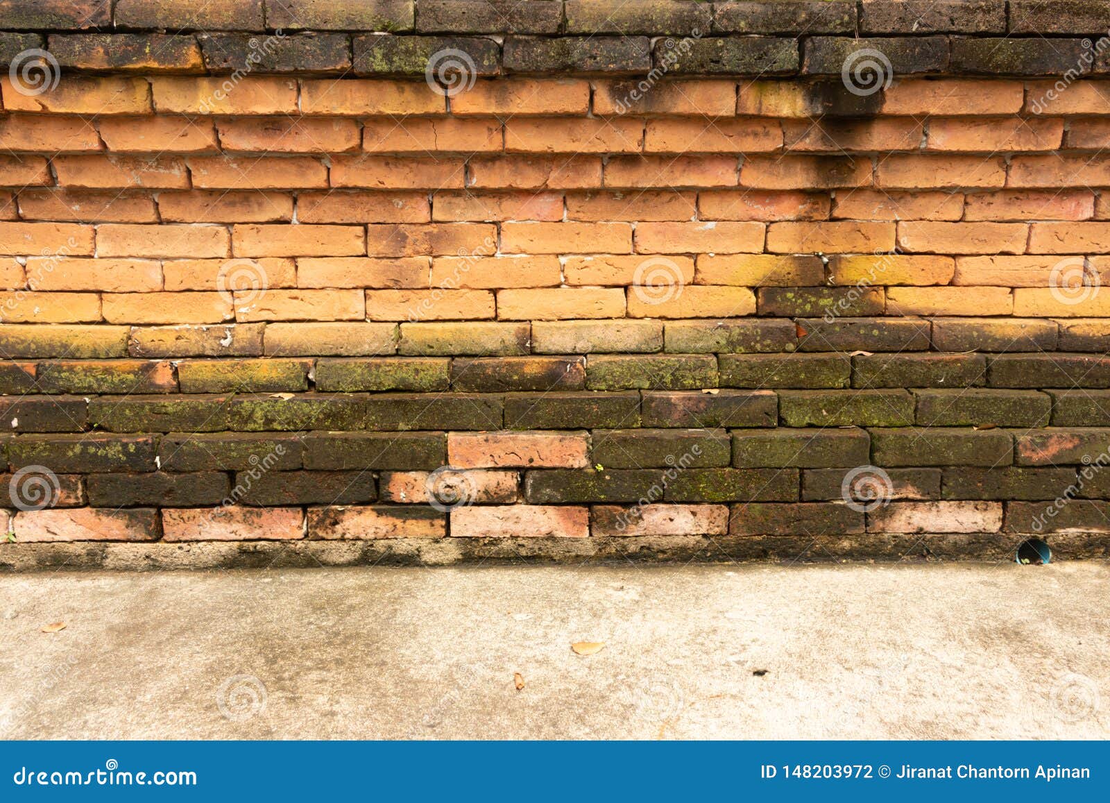 Background of Brown Brick Wall with Green Algae Stock Photo - Image of ...