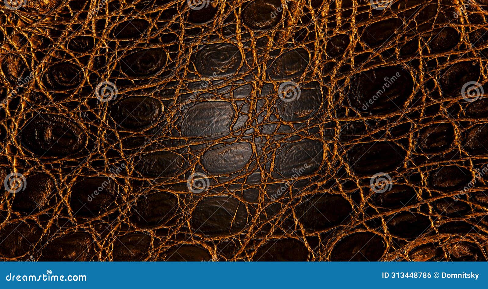 Background of Brown Crocodile Leather. Texture of Alligator Skin Stock ...