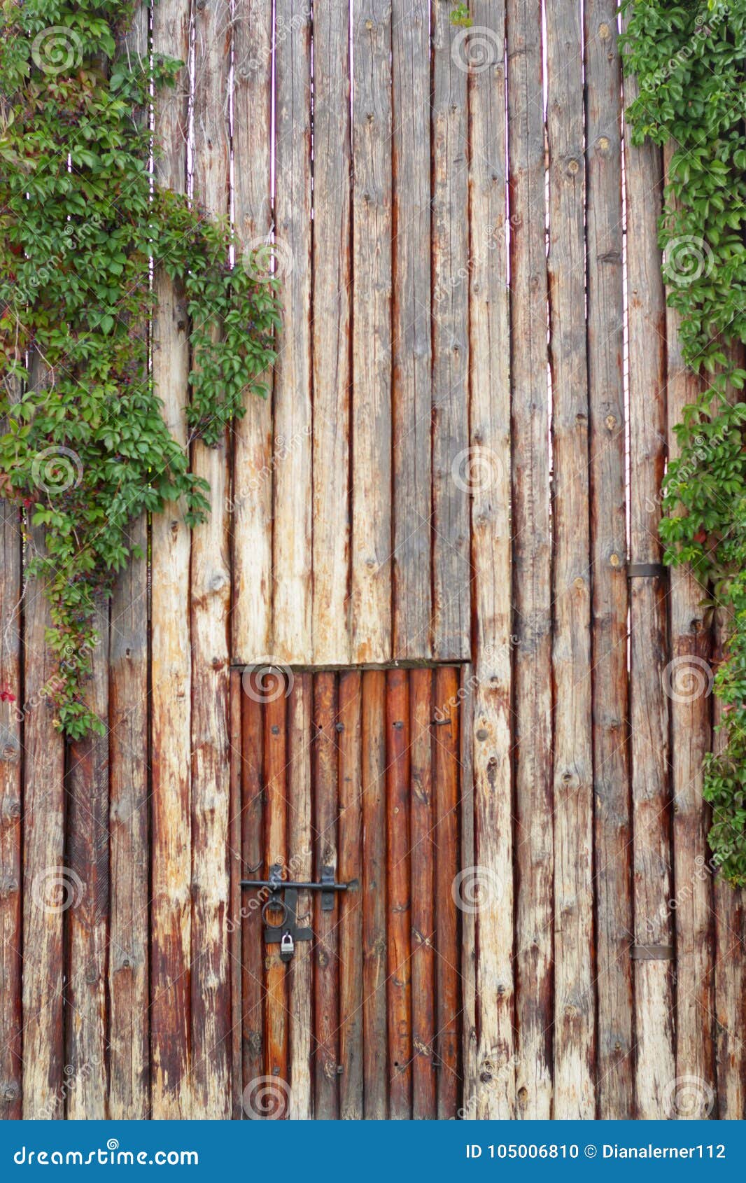 Background of Brown Natural Wood Planks with a Grape. Stock Photo ...