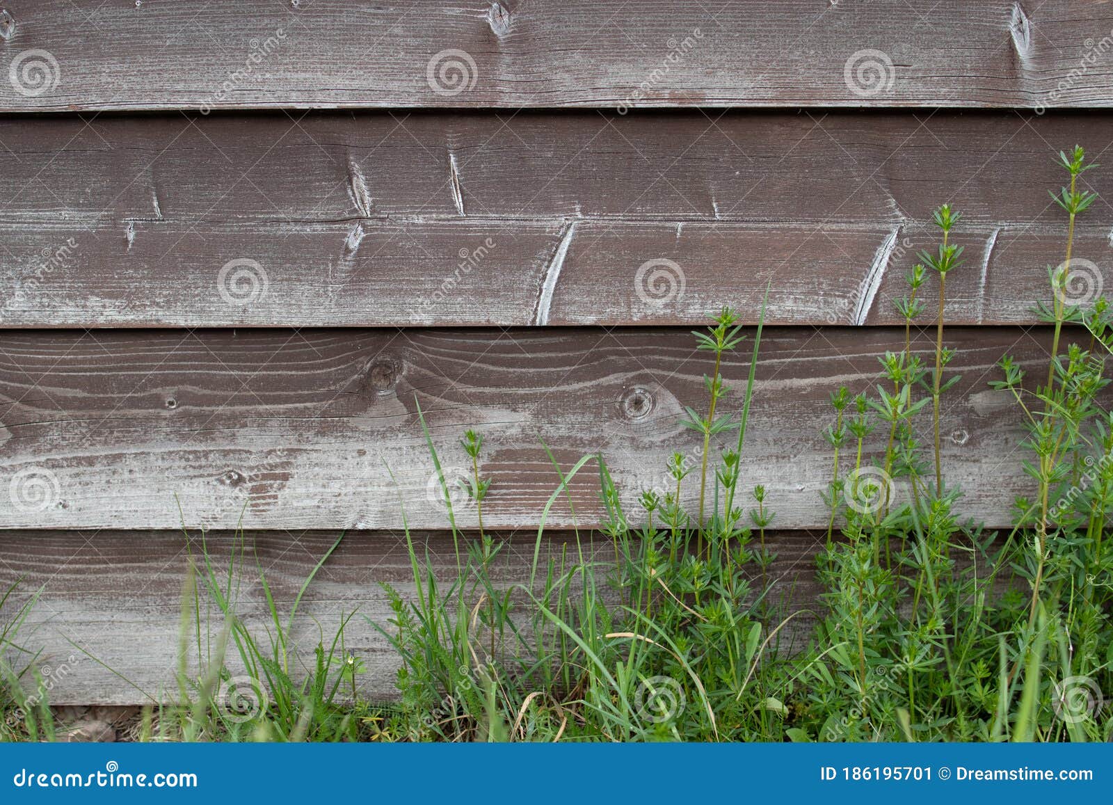 Background Brown Rustic Horizontal Board Fence with Green Grass at the ...