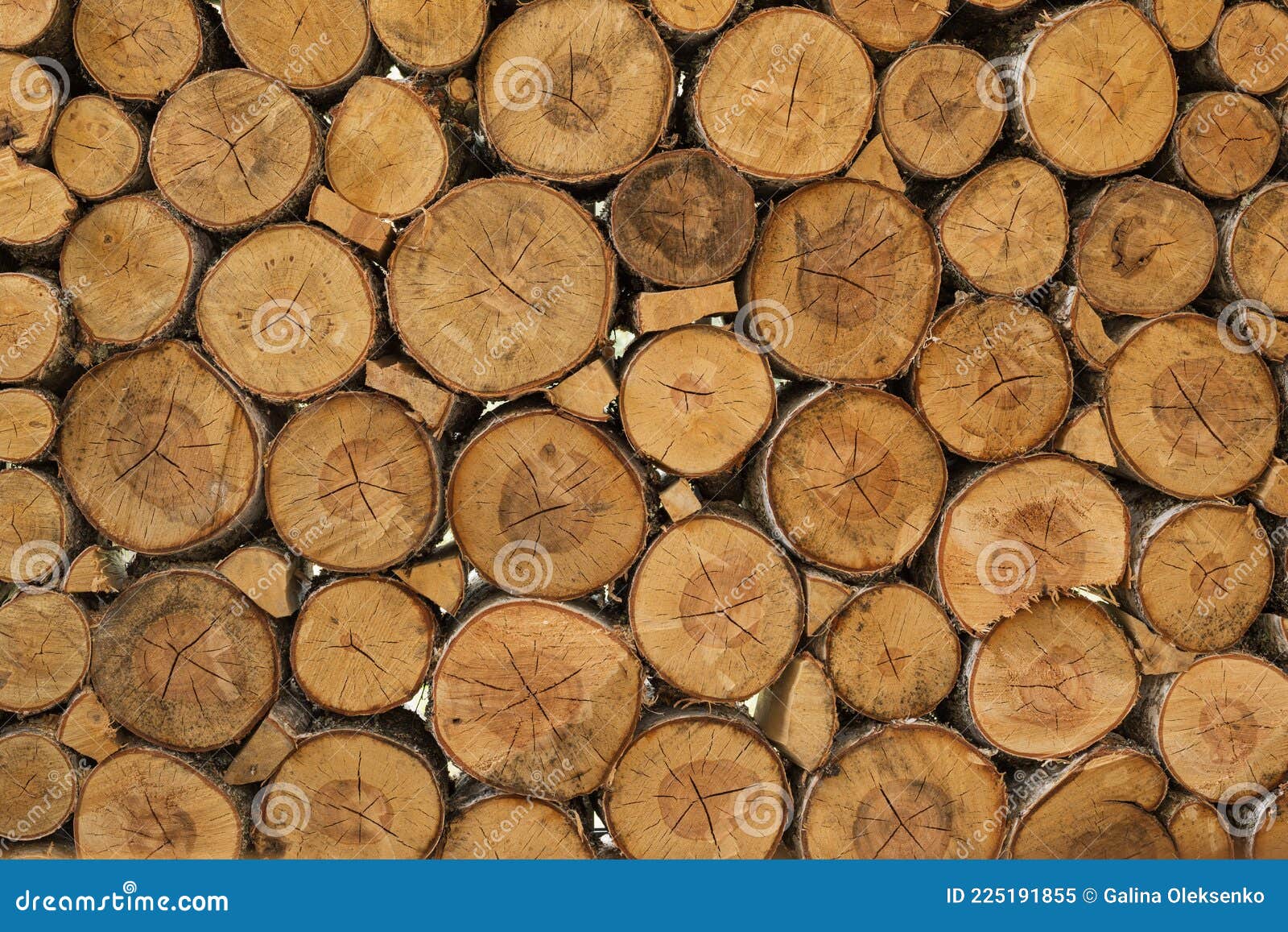 Background of Brown Stacked Tree Slices. Large Decorative Wall from ...