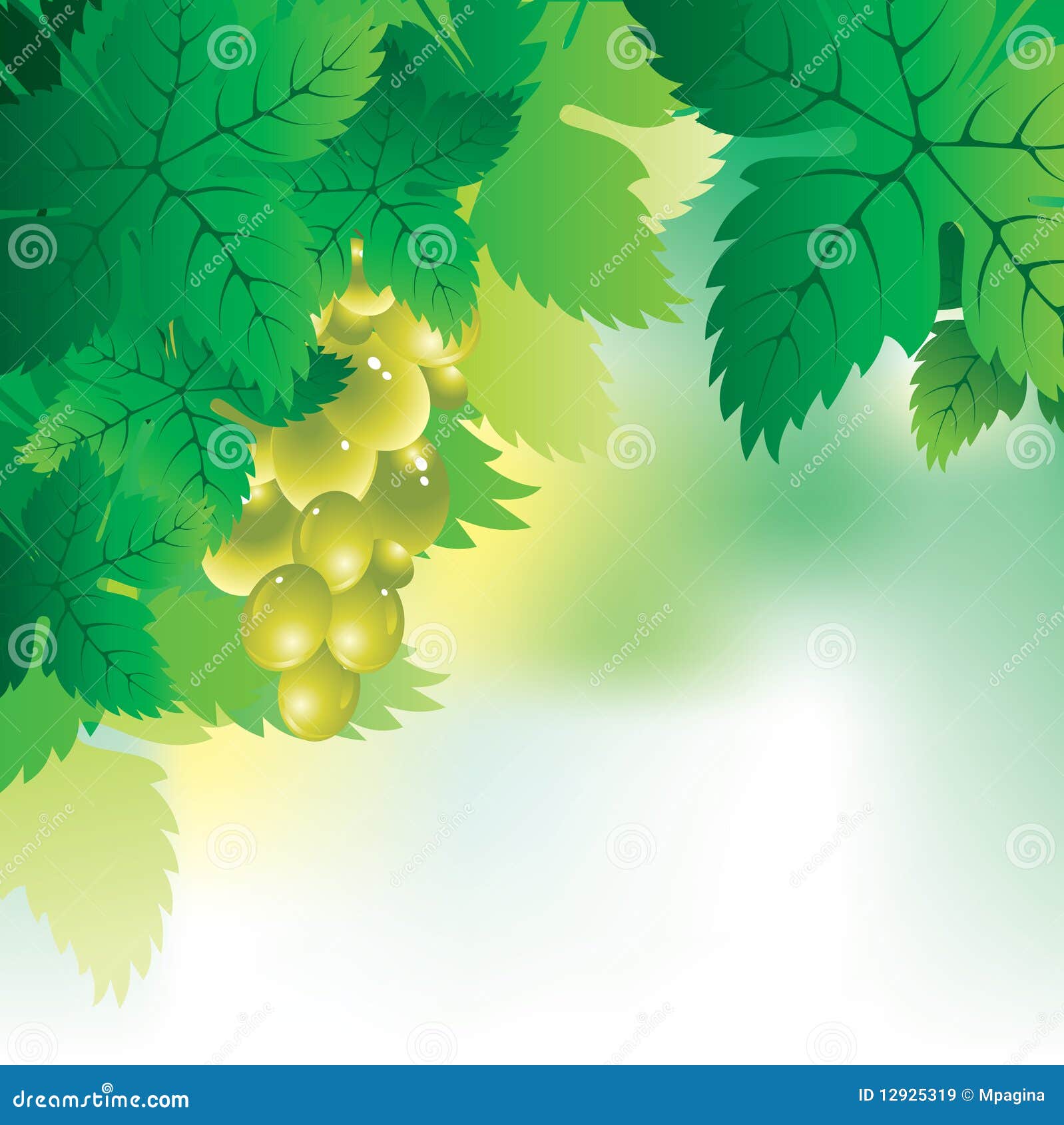 Background with a Bunch of Grapes and Grape Leaves Stock Illustration ...