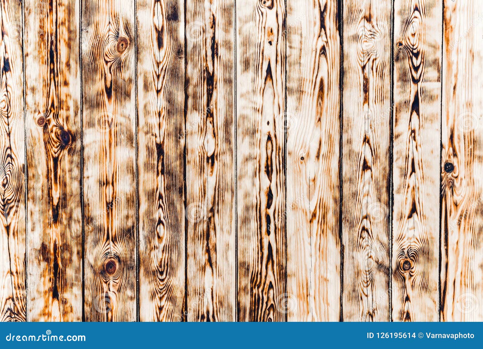 Background of Burned Pine Boards. Stock Photo - Image of forest, angle ...