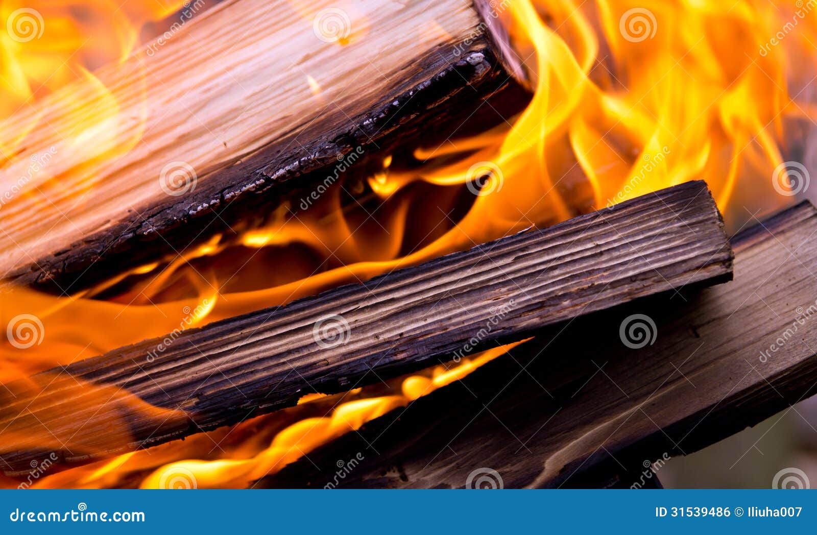 Background, burning logs stock photo. Image of dark, campfire - 31539486