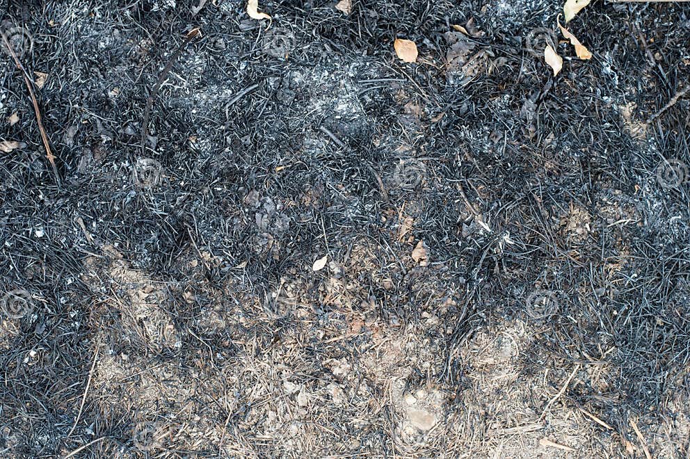 Burnt grass, burnt ground stock image. Image of wallpaper - 100775453