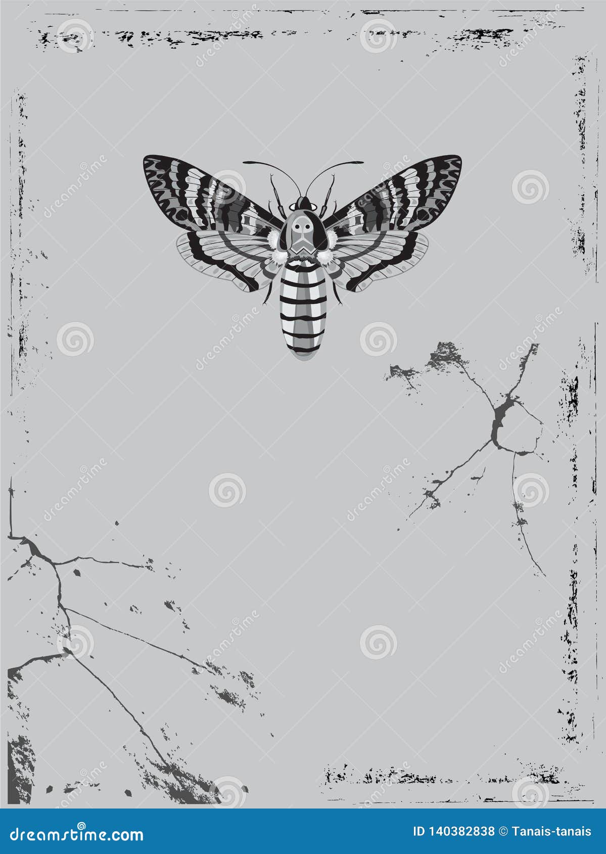 Death Head Moth Isolated On White Close Up. Generated By AI Tool ...