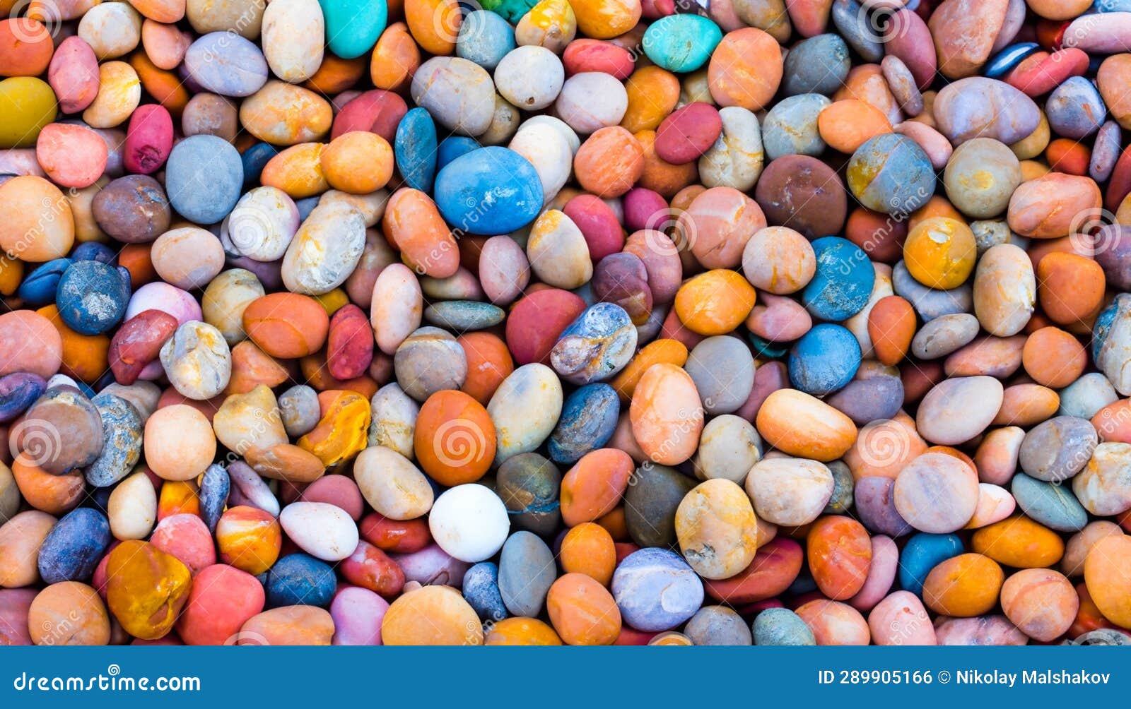 This Background Captures the Essence of Natural Diversity and Wonder ...