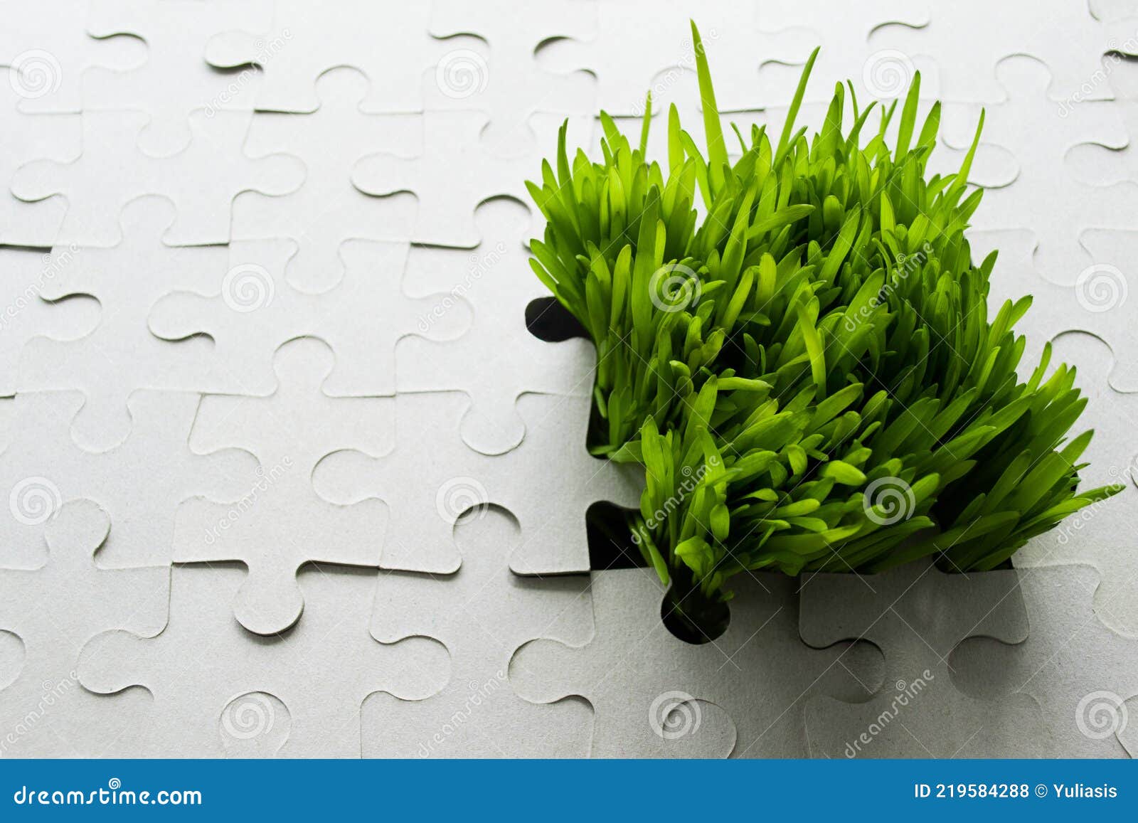 Background of the Cardboard Puzzle without Pattern. Bright Green Grass ...
