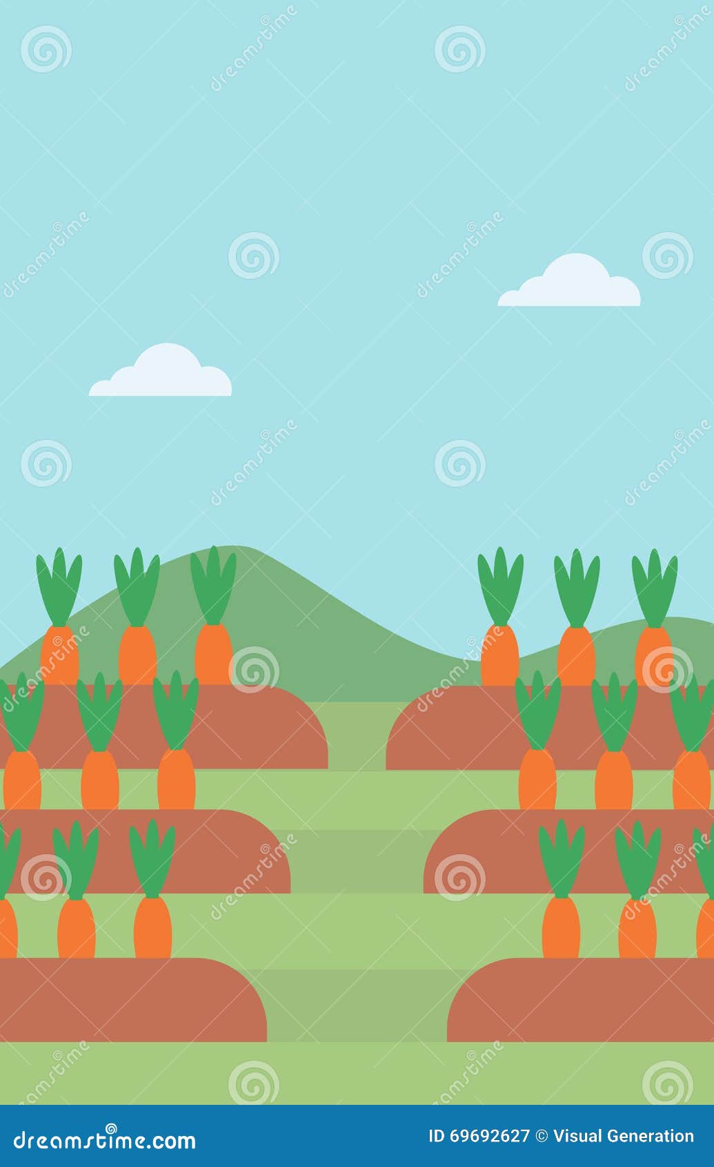 Background of Carrots Growing on Field Stock Vector - Illustration of ...