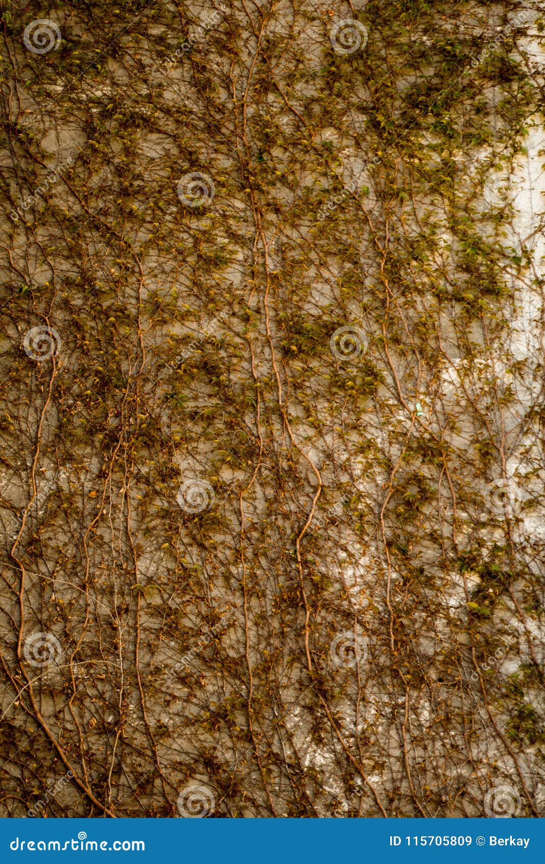 Background with Certain Texture Pattern Stock Image - Image of grunge ...