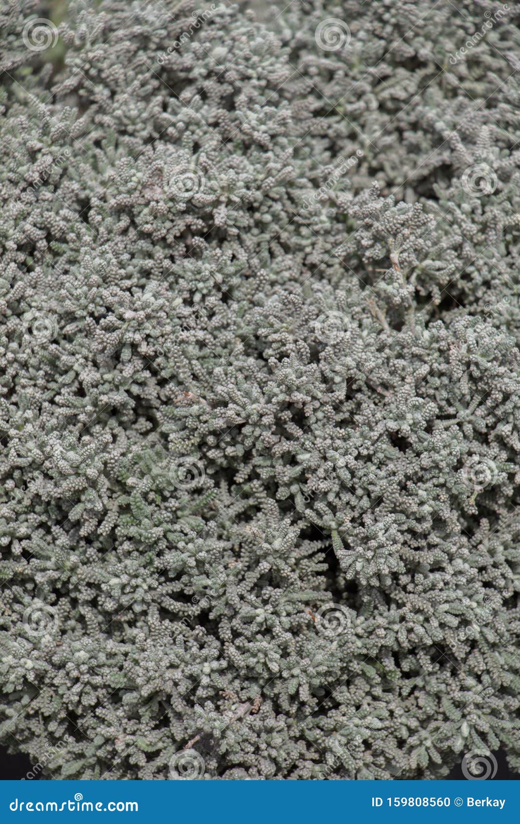 Background with Certain Texture Pattern Stock Photo - Image of abstract ...