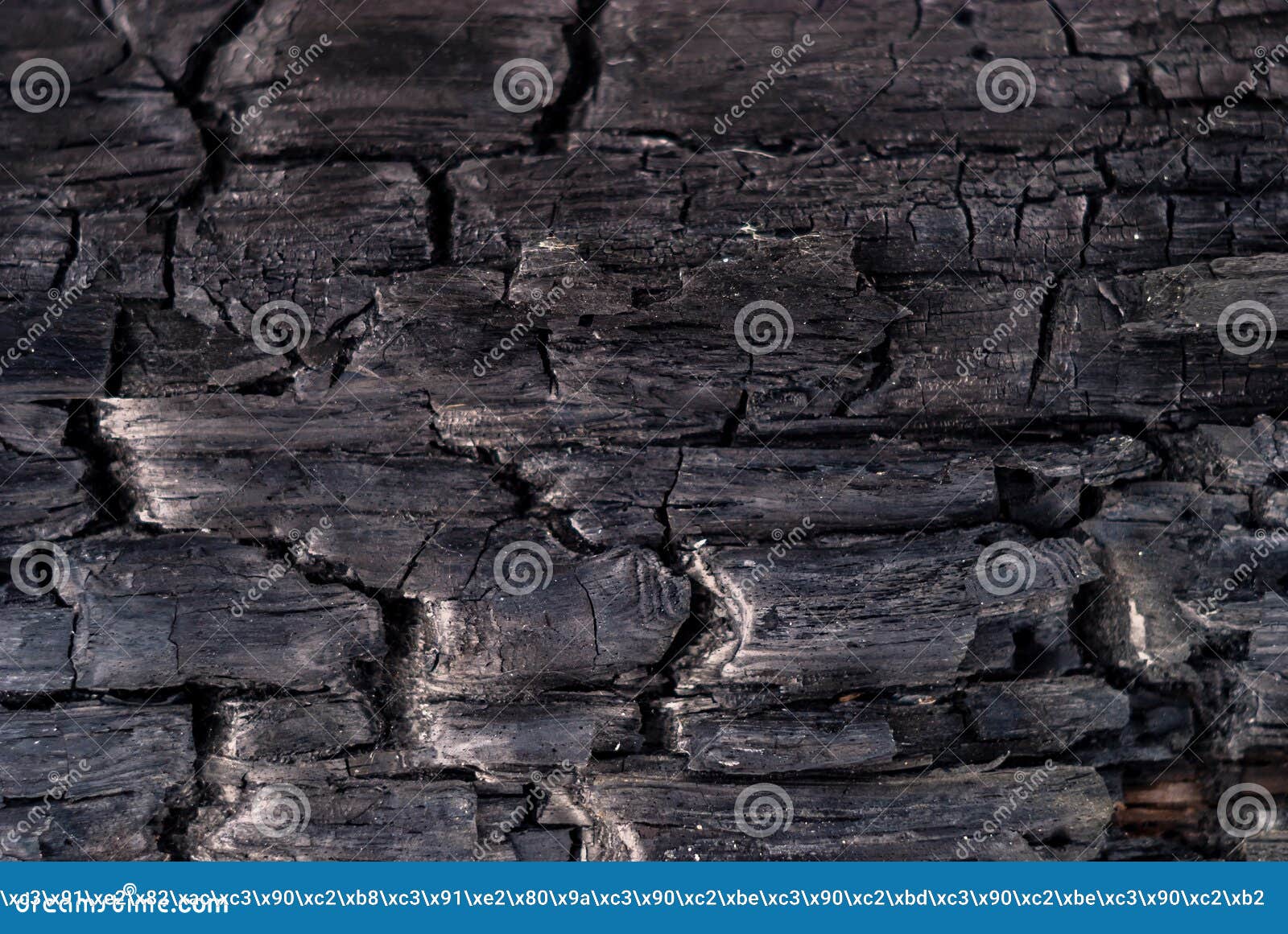 Background - charred wood stock image. Image of wood - 141815147