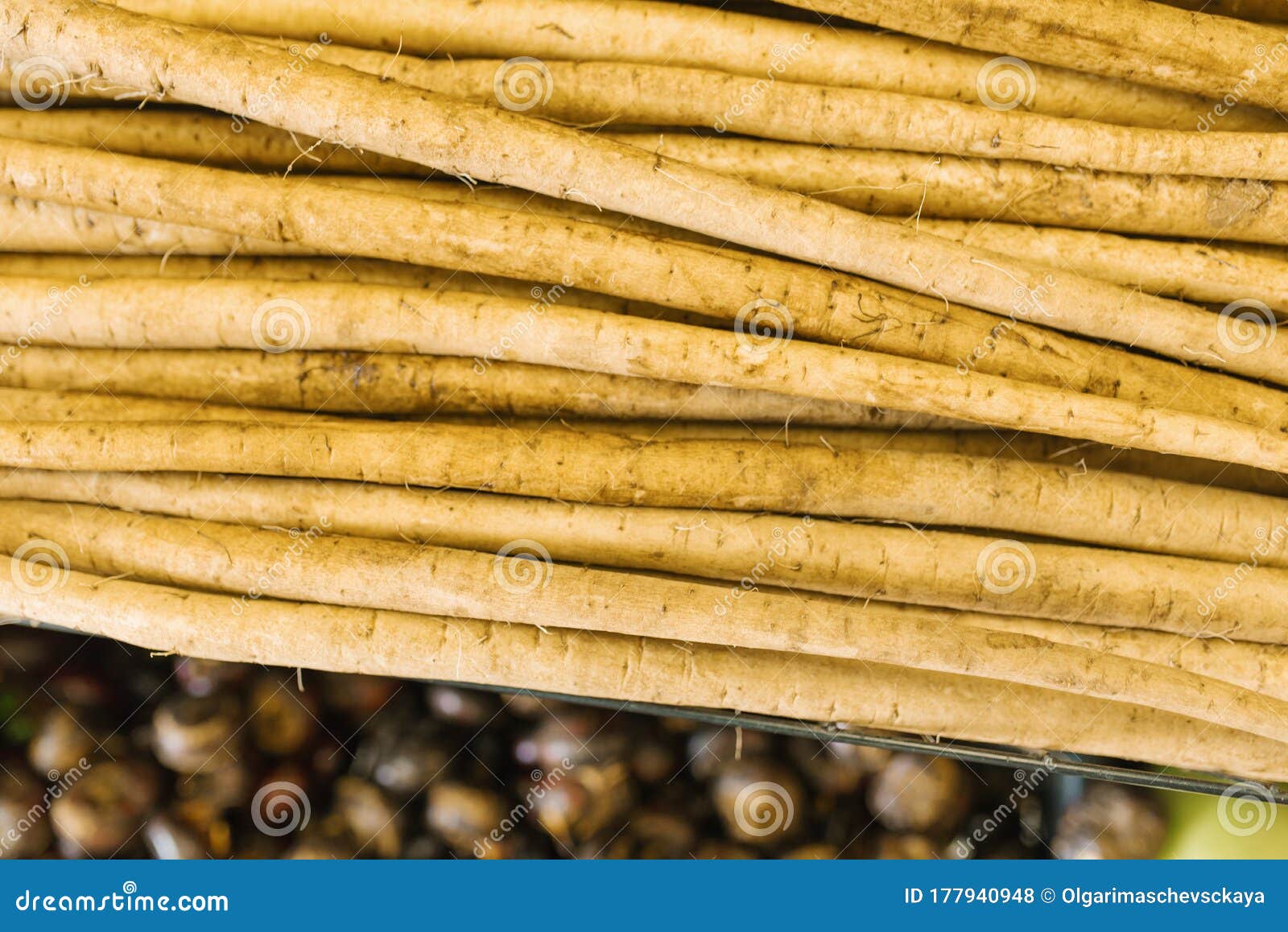Background of the Chinese Burdock Stock Photo - Image of closeup ...