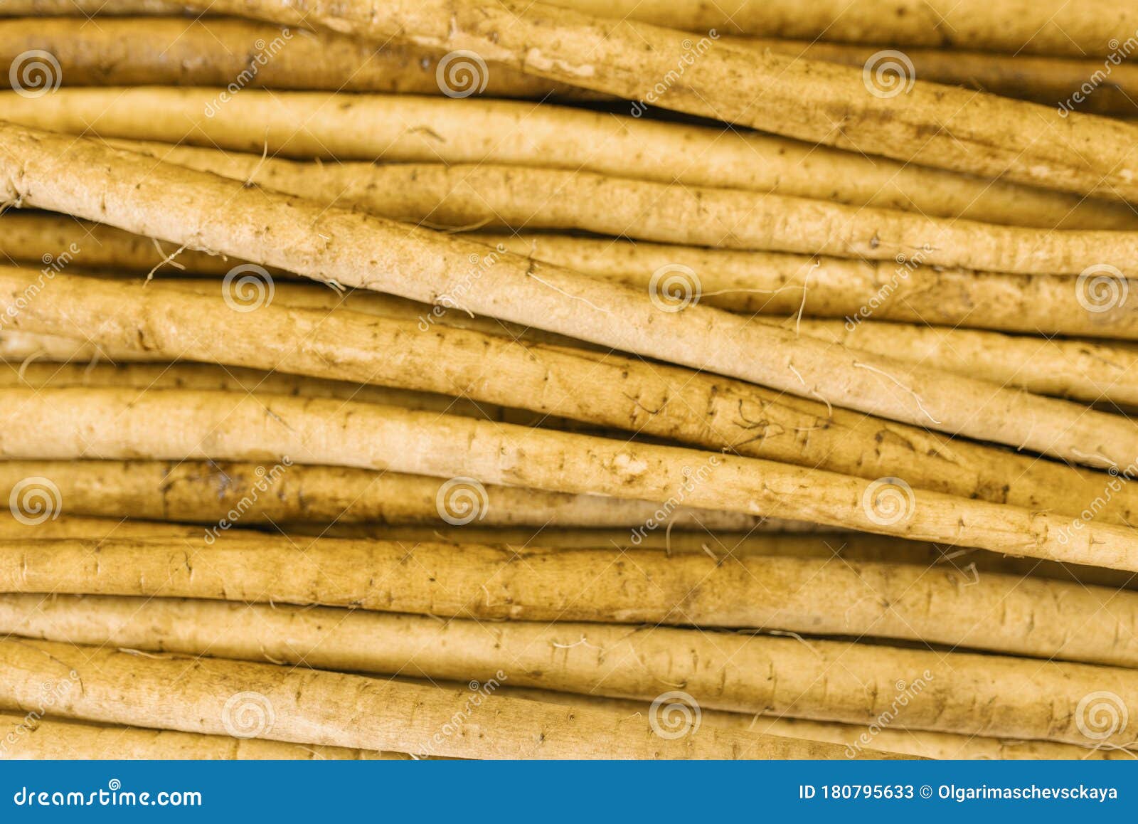 Background of the Chinese Burdock Stock Image - Image of material ...