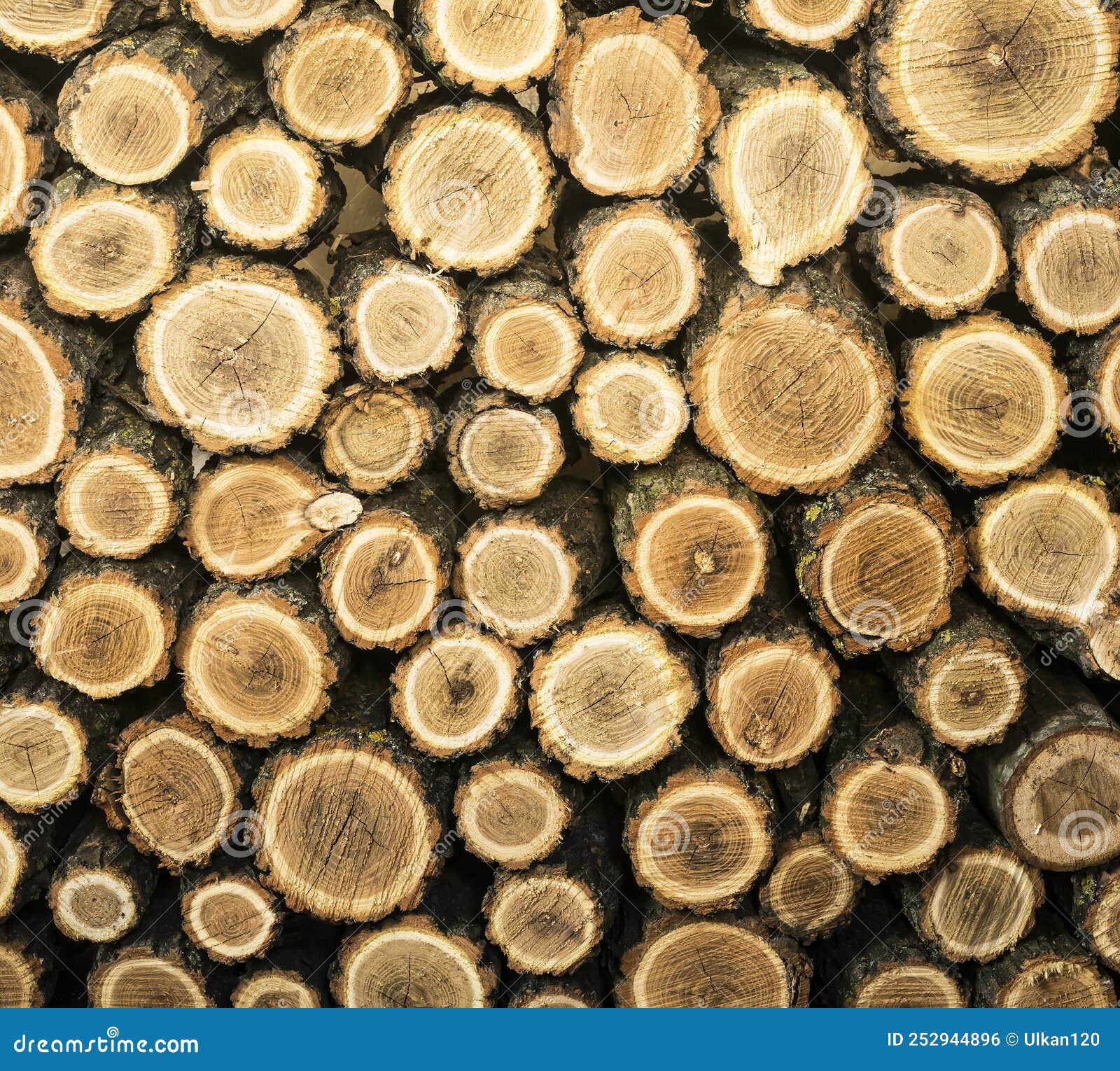 Background from Chopped Stacked Firewood. Natural Texture. Stock Photo ...