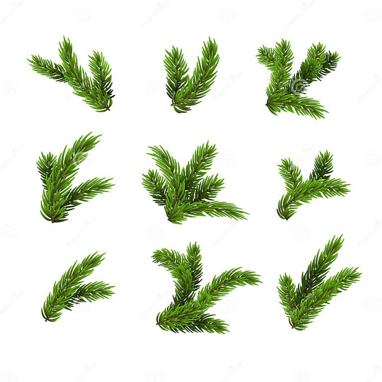 Background with Christmas Tree Branches Stock Vector - Illustration of ...