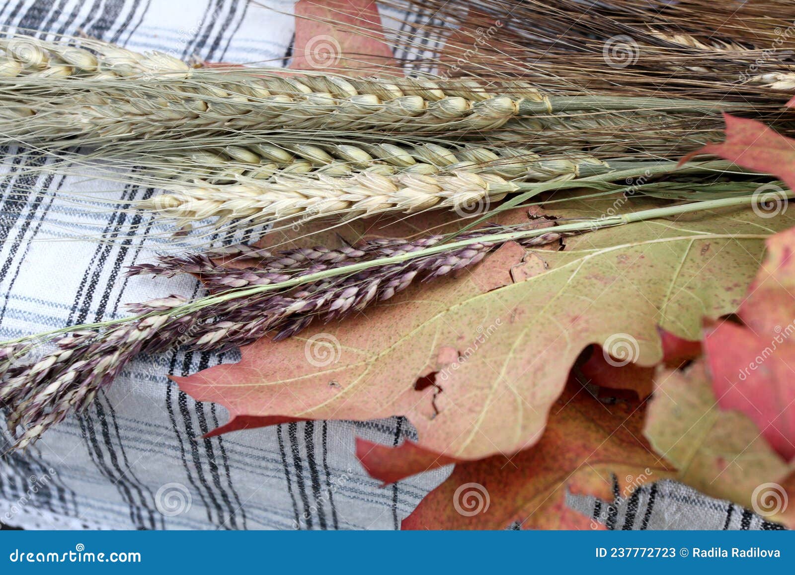 Background of Classes of Wheat on the Table Stock Image - Image of ...