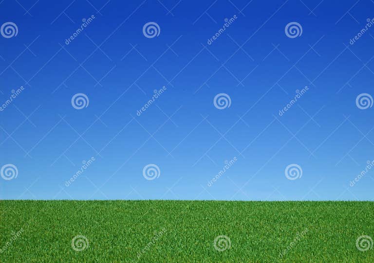 Background - Clear - Meadow with Blue Sky Stock Image - Image of gras ...