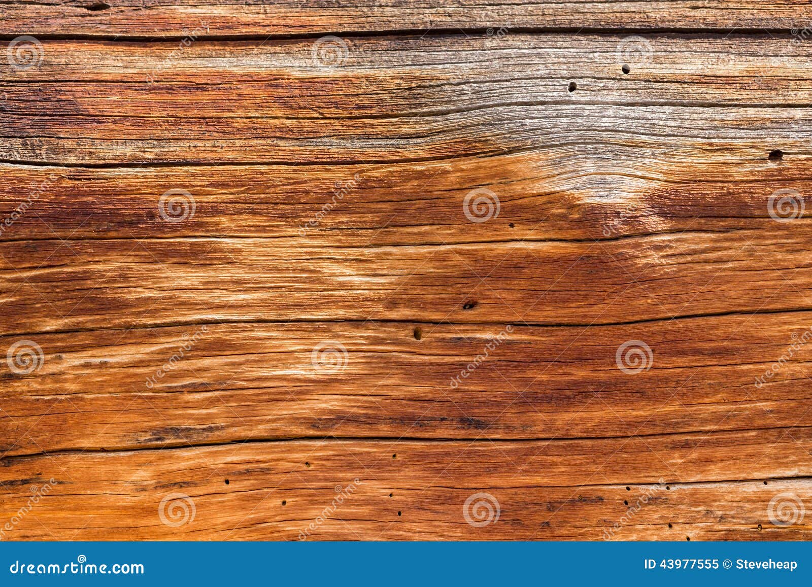 Background Close Up of Cedar Trunk Wood Stock Image - Image of aged ...
