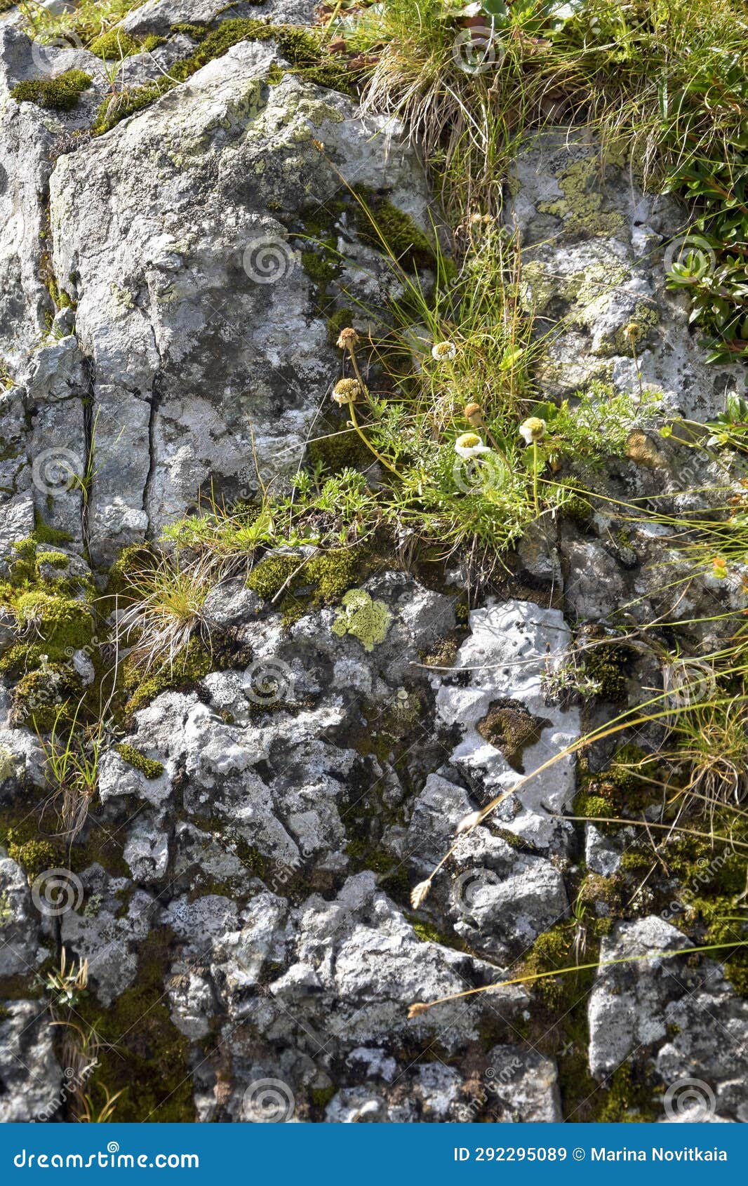 Background of Coarse Stone Rocks, Full Frame. Rough Stone Texture of ...