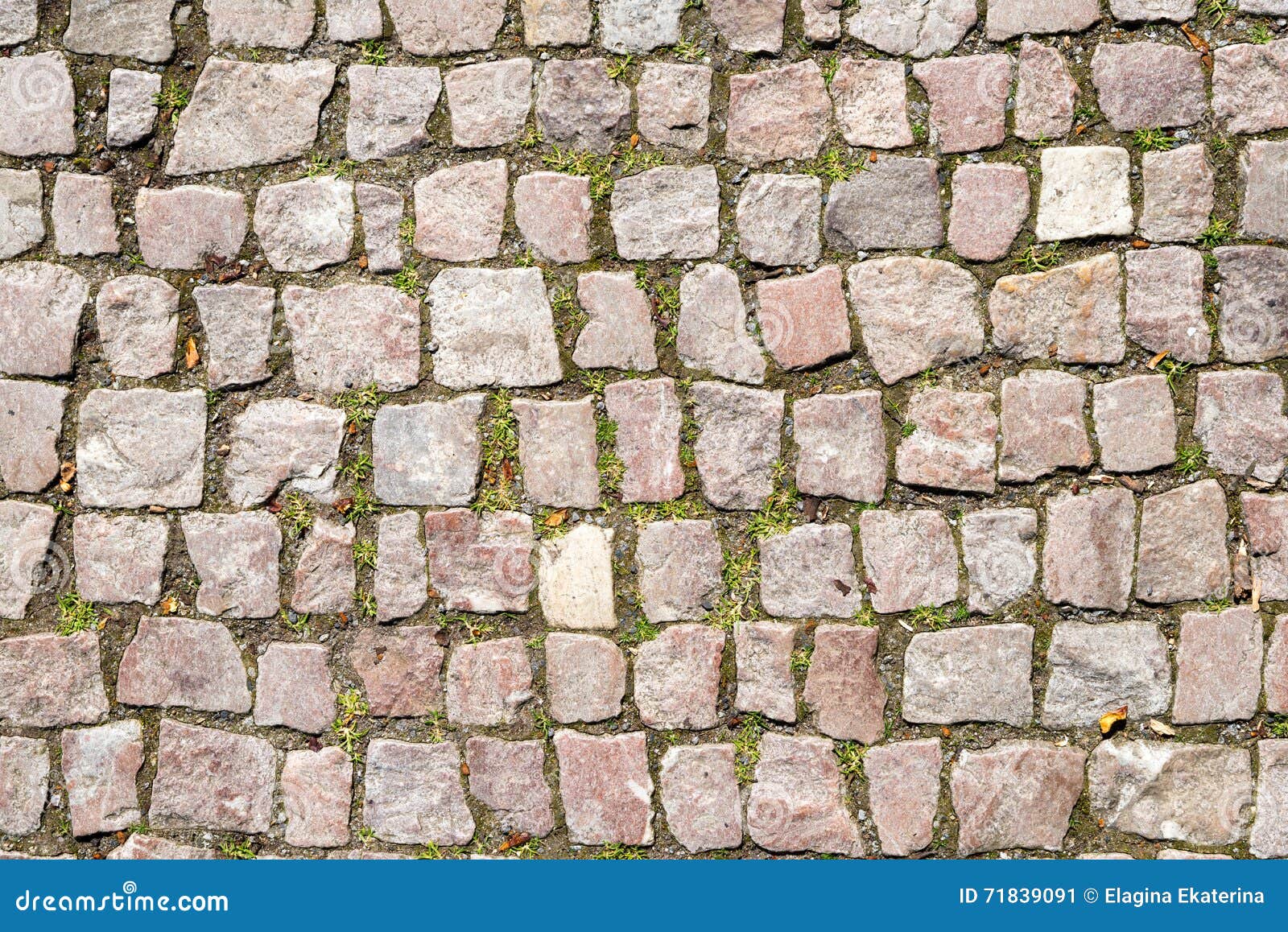 Background of Cobblestone with Grass Stock Image - Image of granite ...