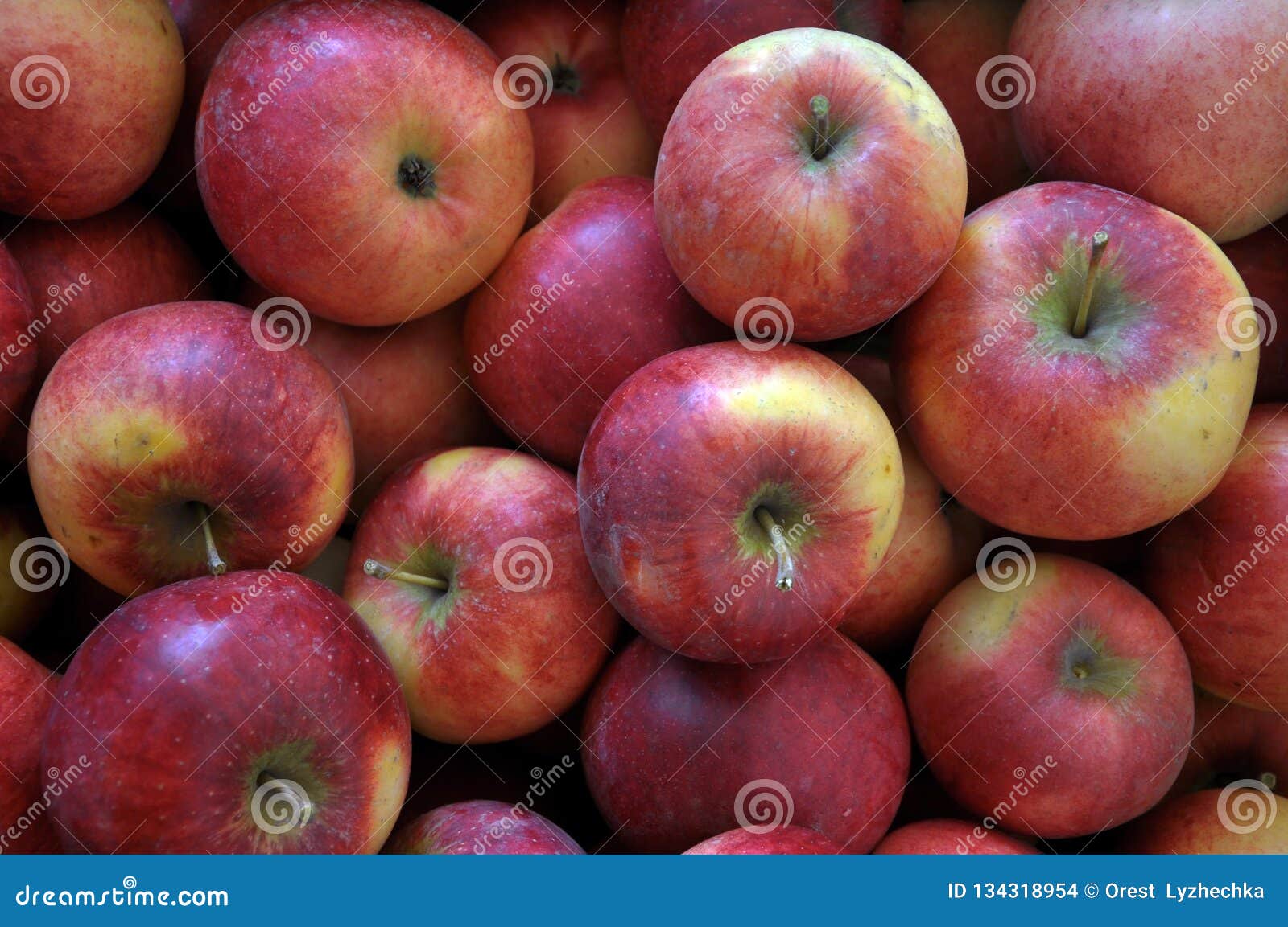 Background from Collected Red Apple Stock Photo - Image of bright ...