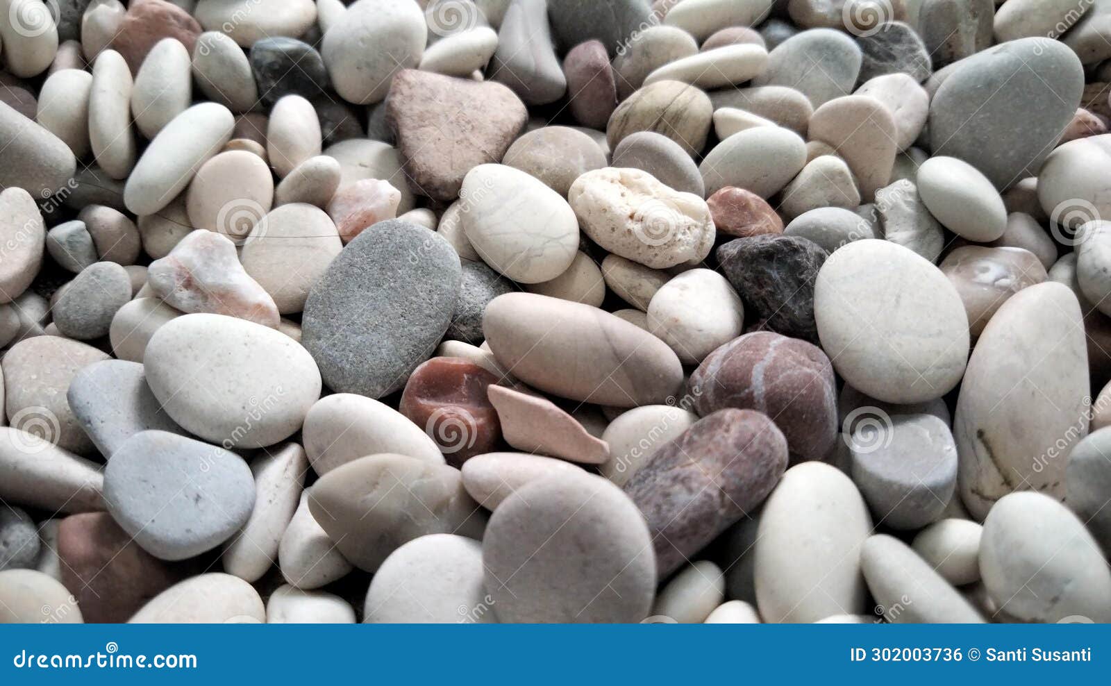 Background of a Collection of Pebbles Arranged in Texture Stock Photo ...