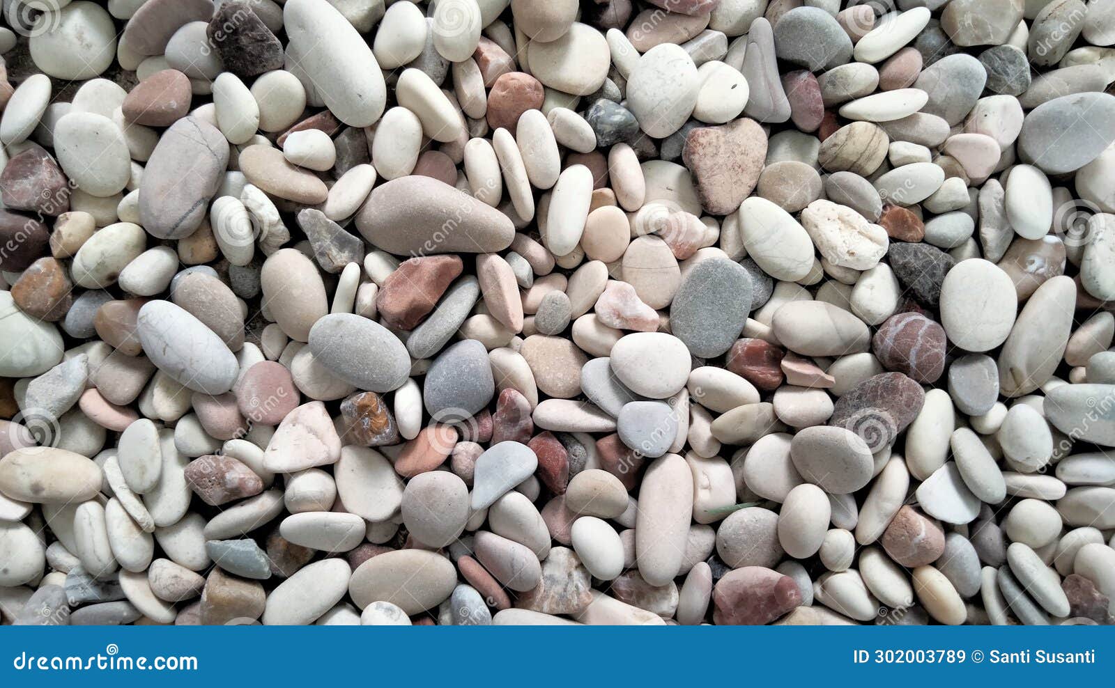 Background of a Collection of Pebbles Arranged in Texture Stock Image ...