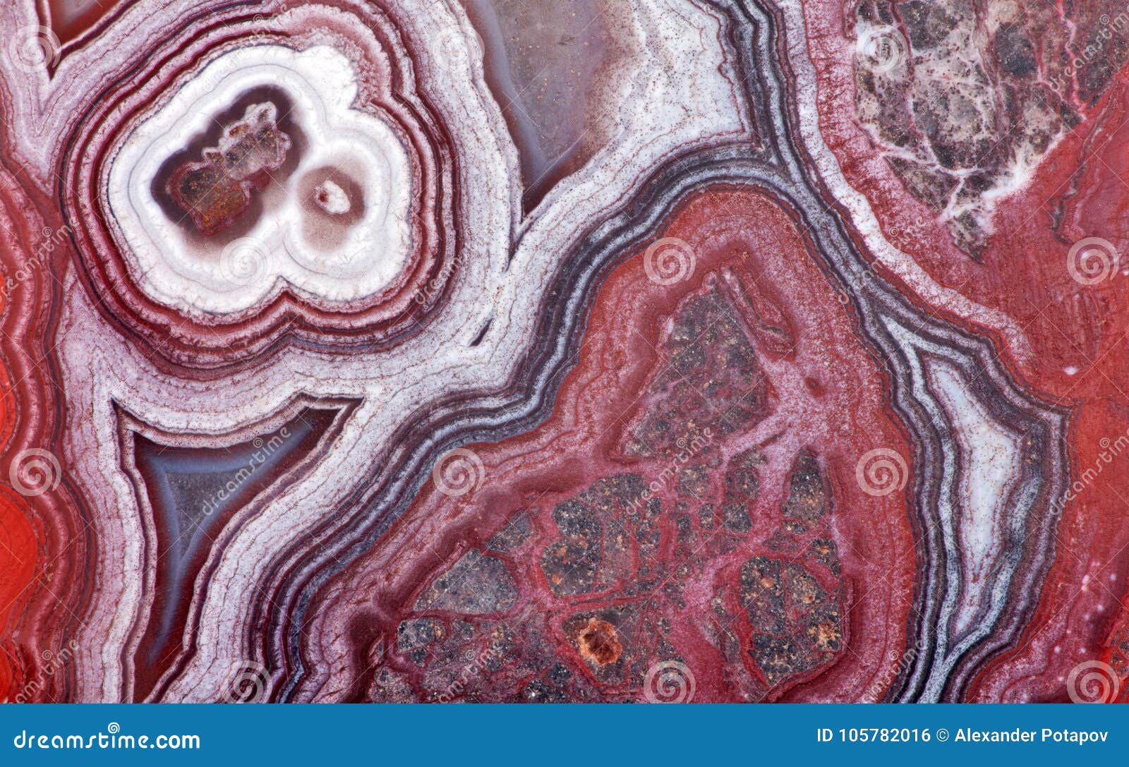 White and Red Agate Ring Structure Stock Photo - Image of agate ...